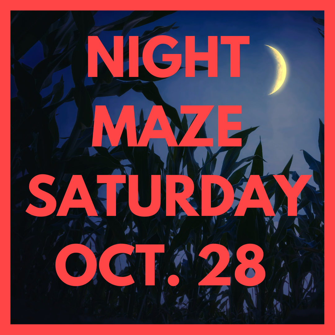Night Maze — Treworgy Family Orchards | Come Gather Beautifully ...