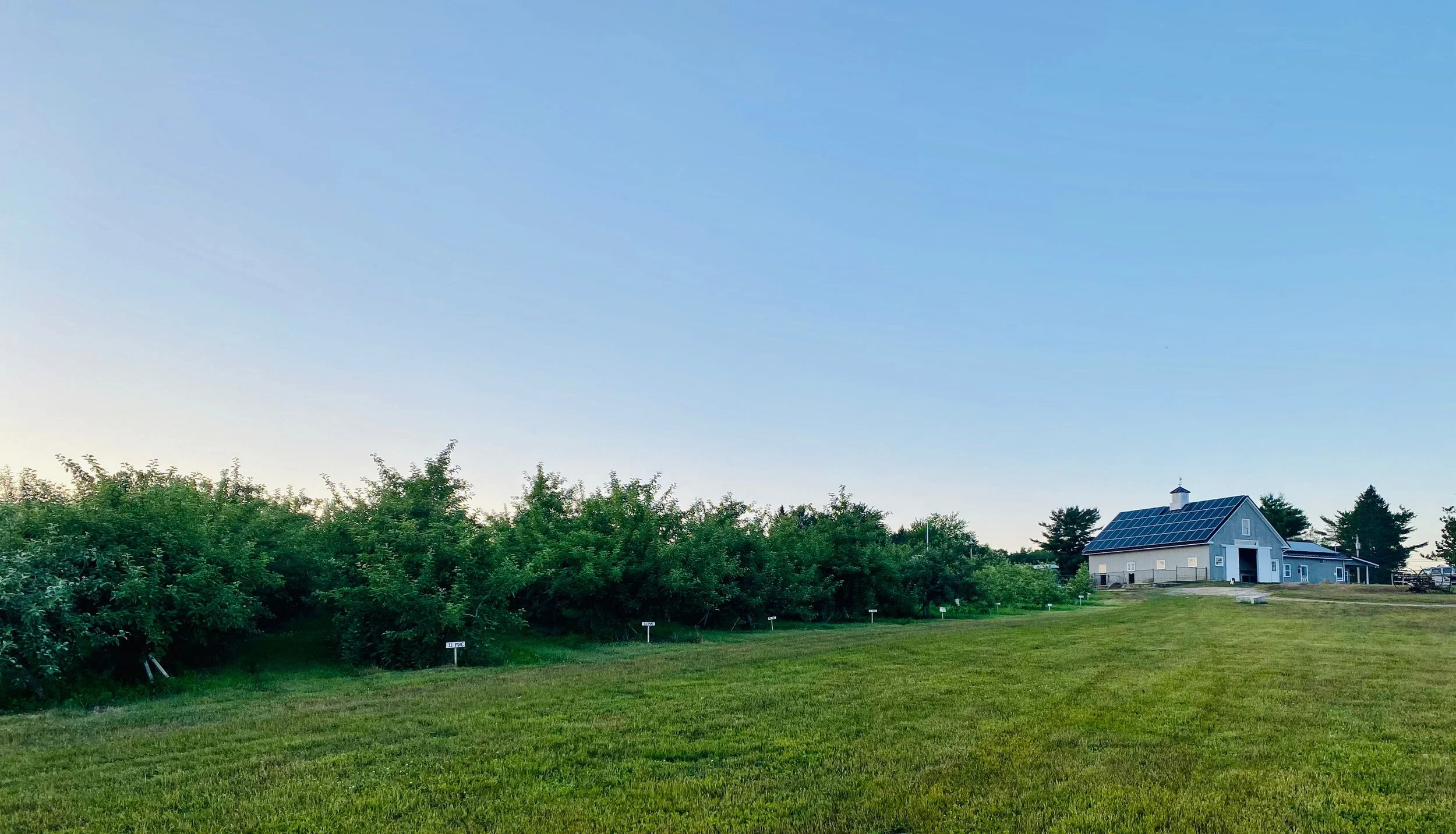 Treworgy Family Orchards | Come Gather Beautifully -- Apple Picking ...