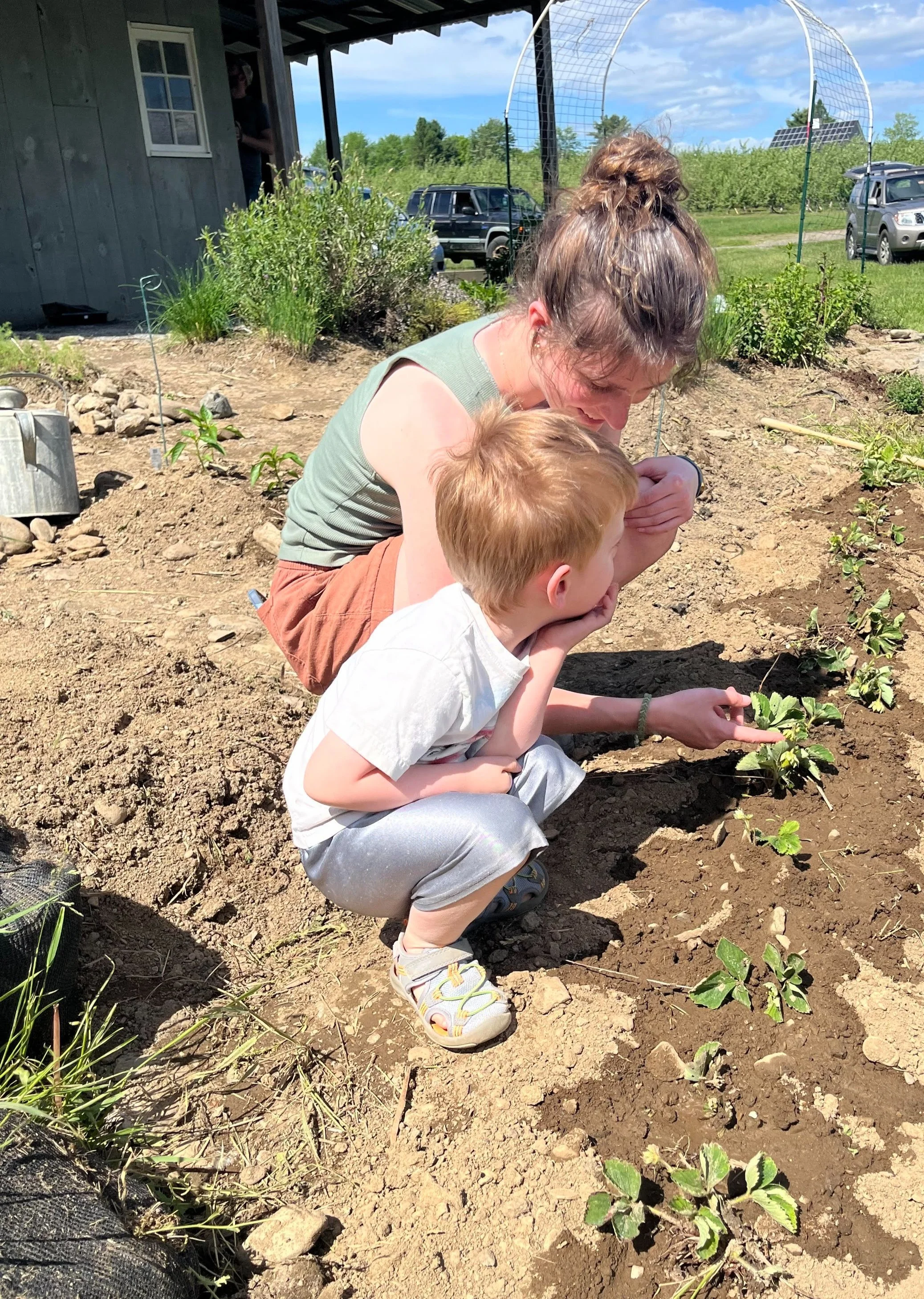 Tadpole Farm Camp — Treworgy Family Orchards | Come Gather Beautifully ...