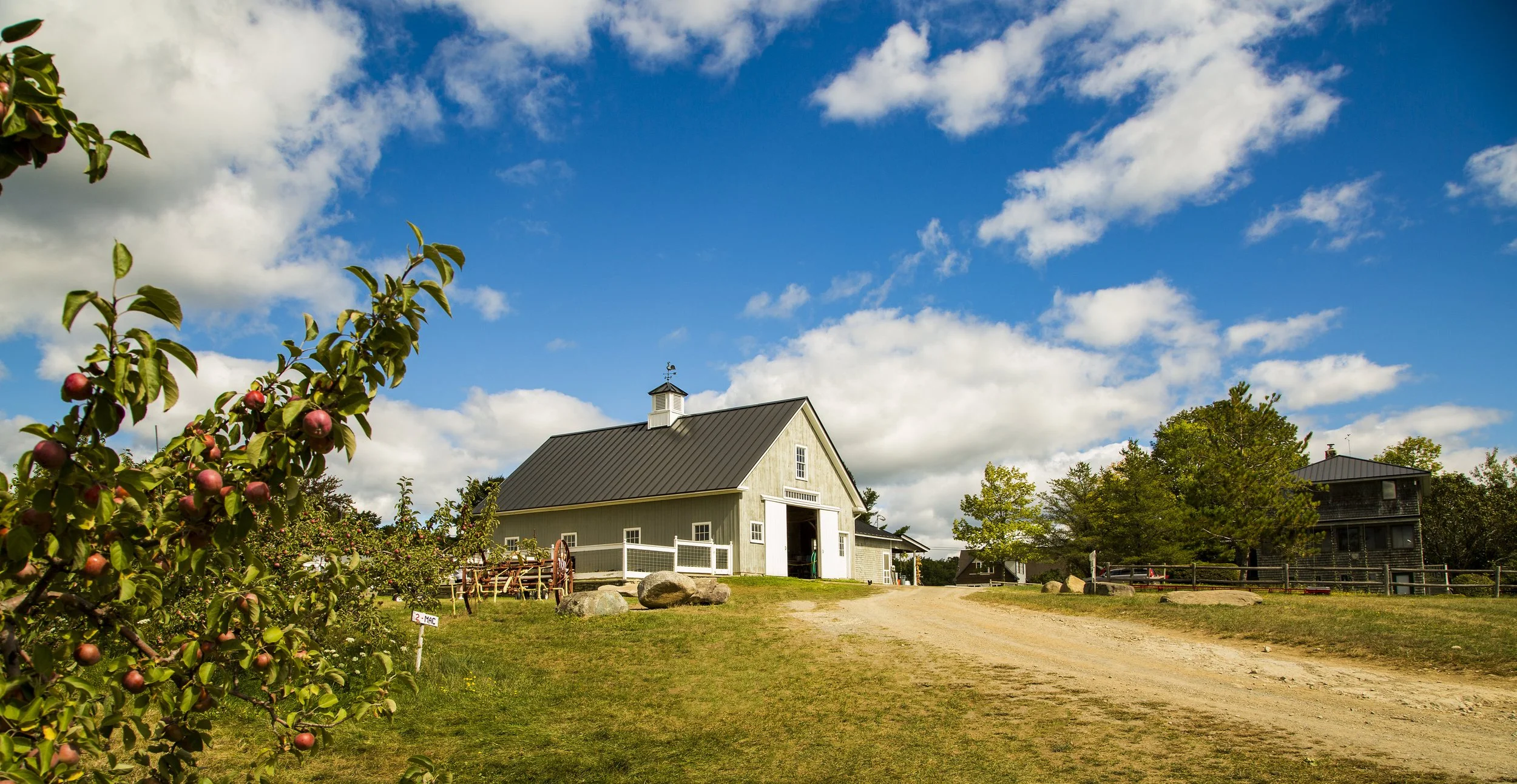 Events and More — Treworgy Family Orchards | Come Gather Beautifully ...
