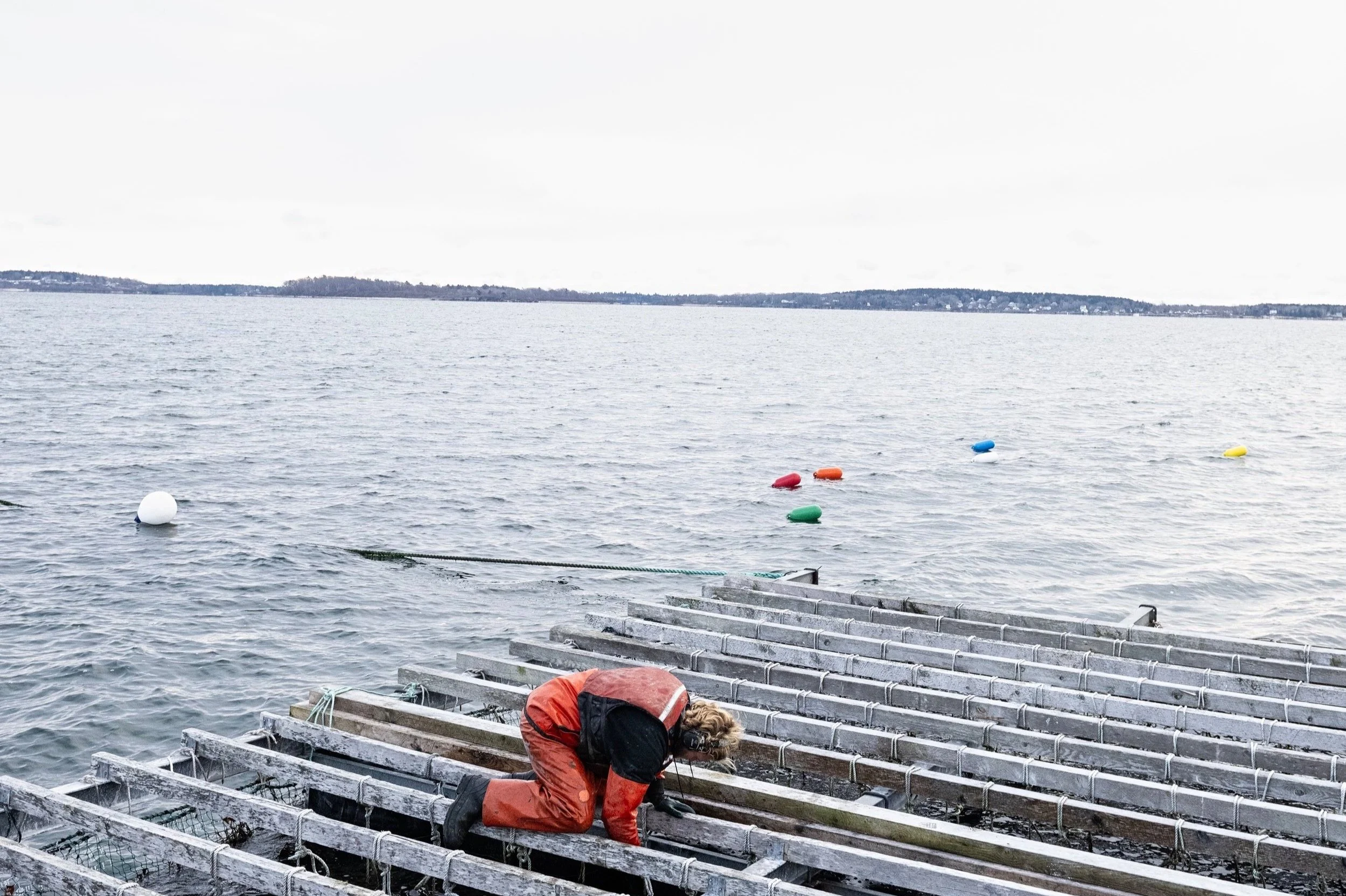 Our Sea Farm — Bangs Island Mussels