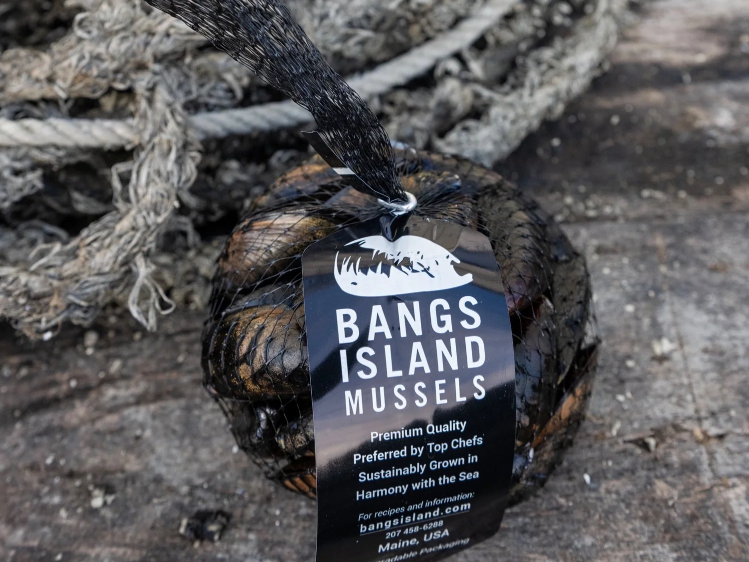 Bangs Island Mussels