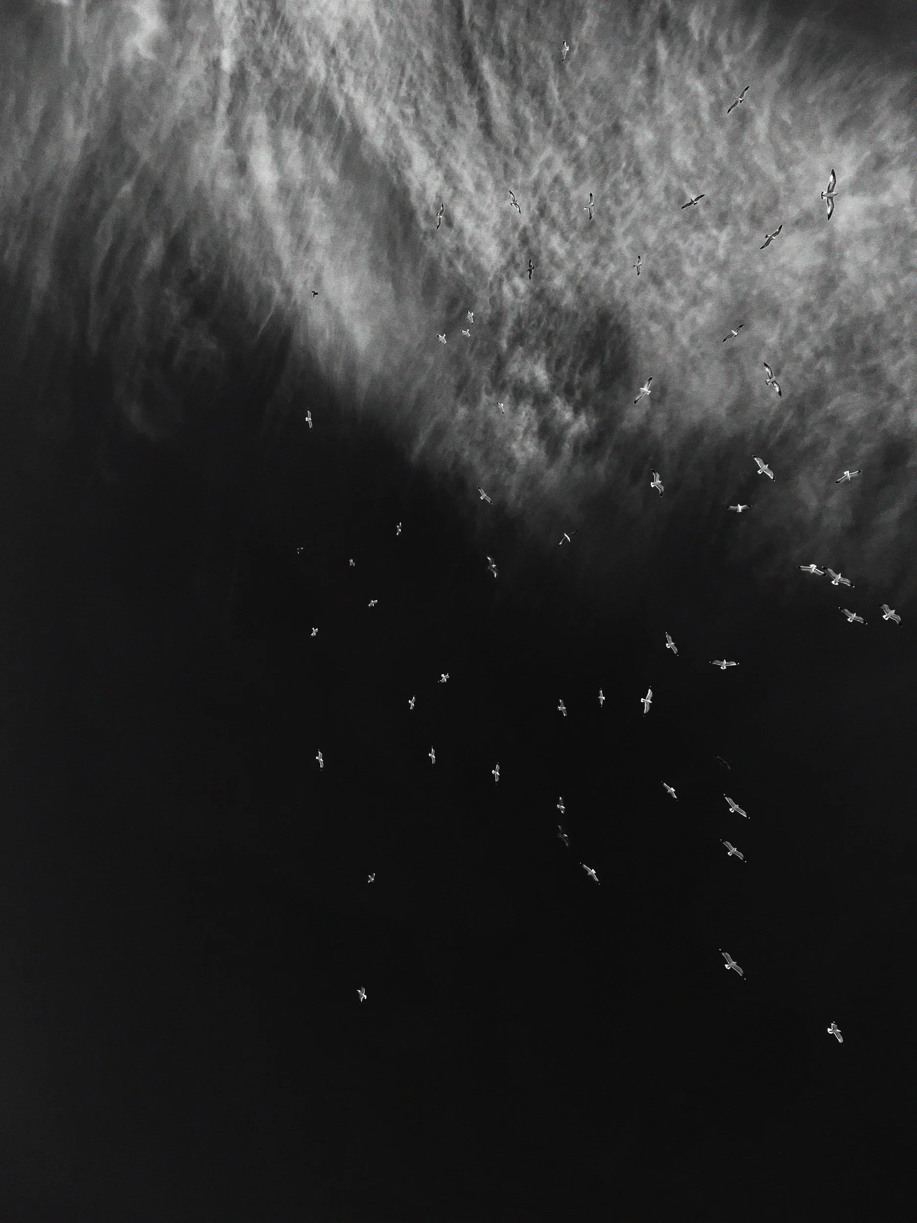 Tony Cruz / Creative