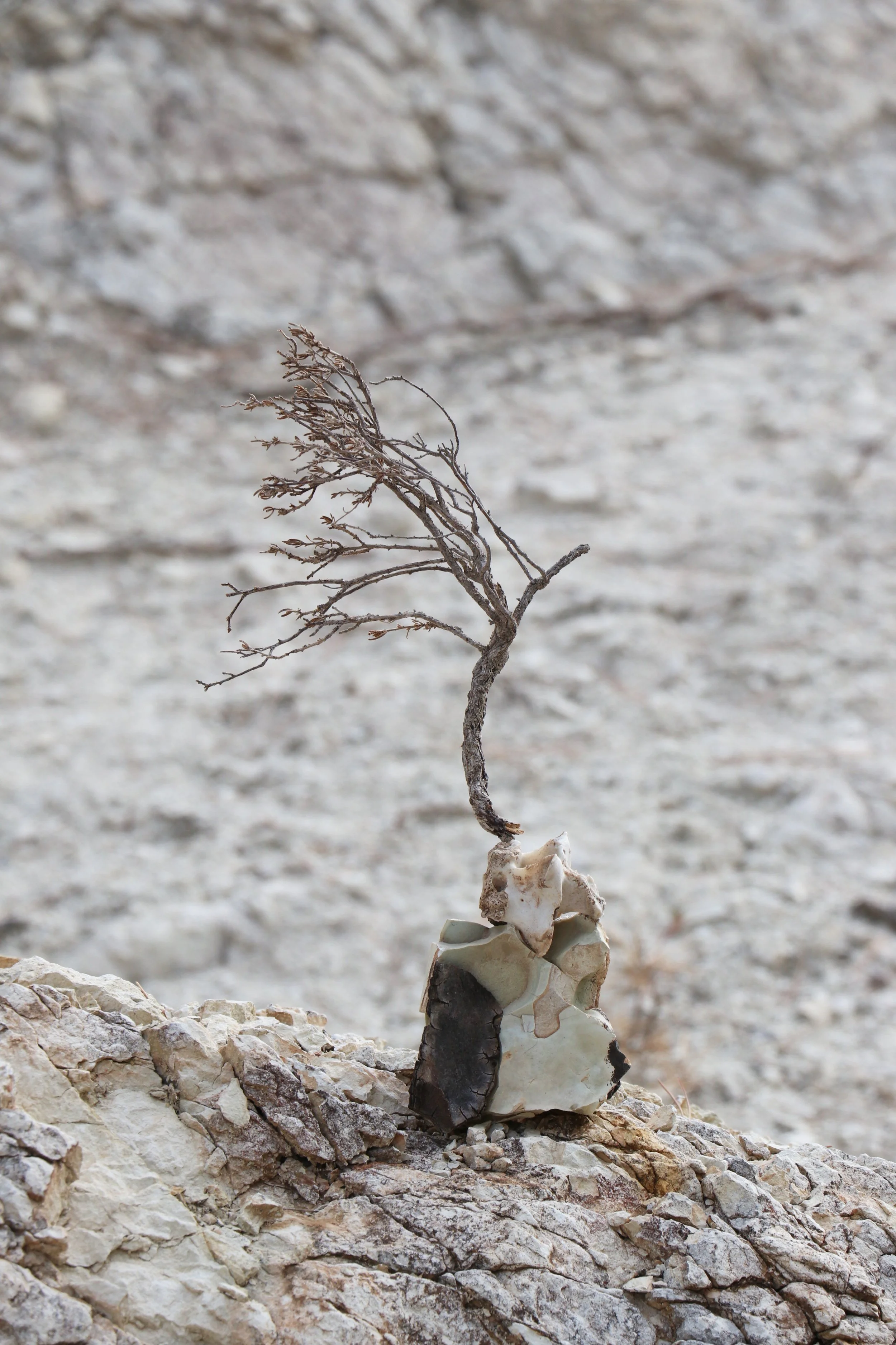 Sustainable | Nature | Artist | Sophie Anna Gibbings