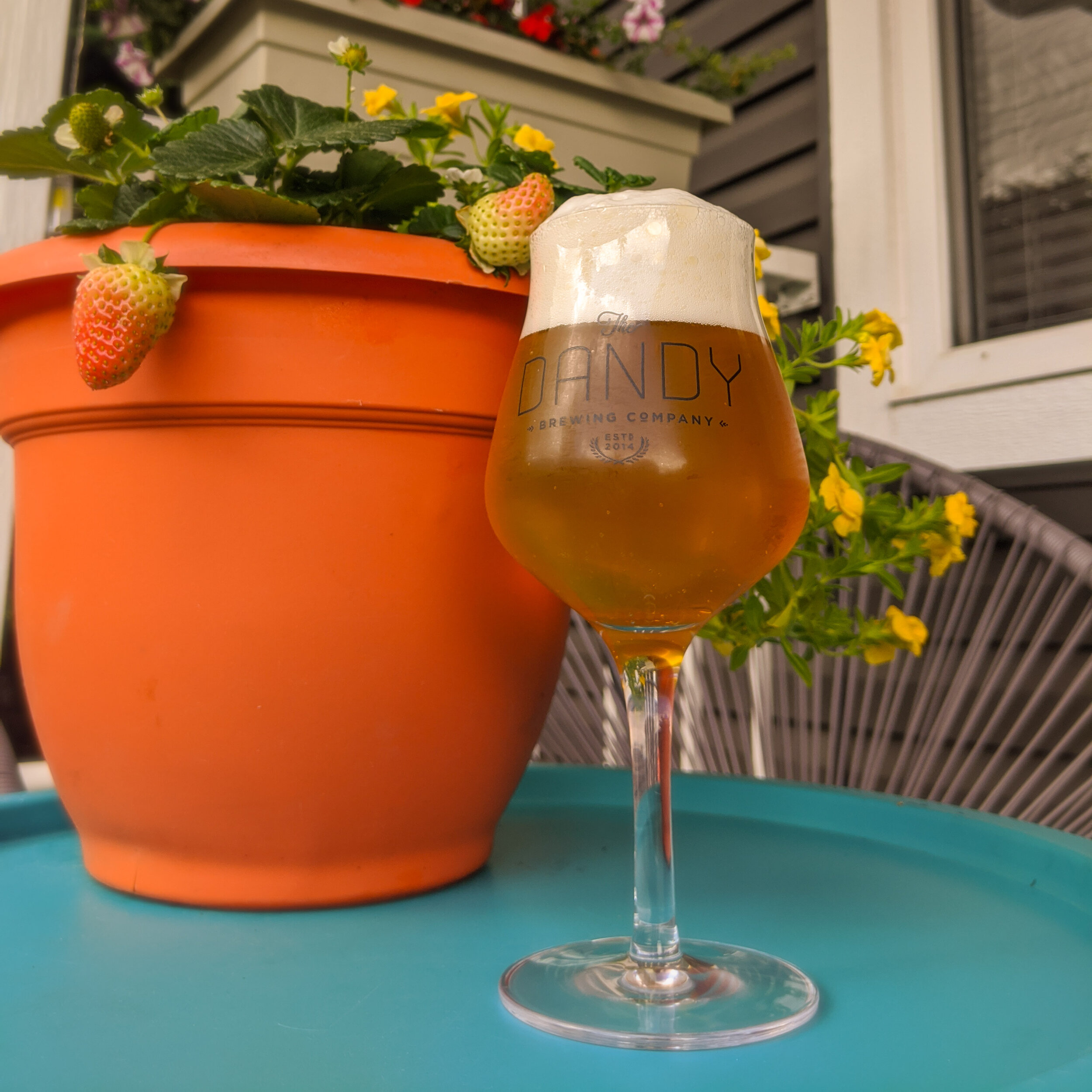 Dandy Store — The Dandy Brewing Company™