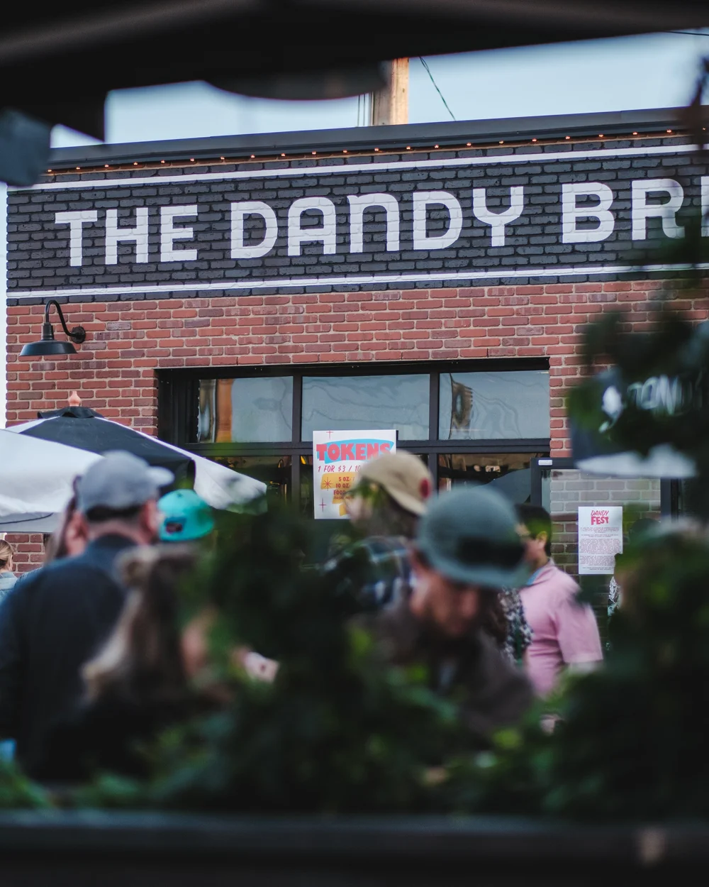 DANDYFEST — dandy™ BREWING