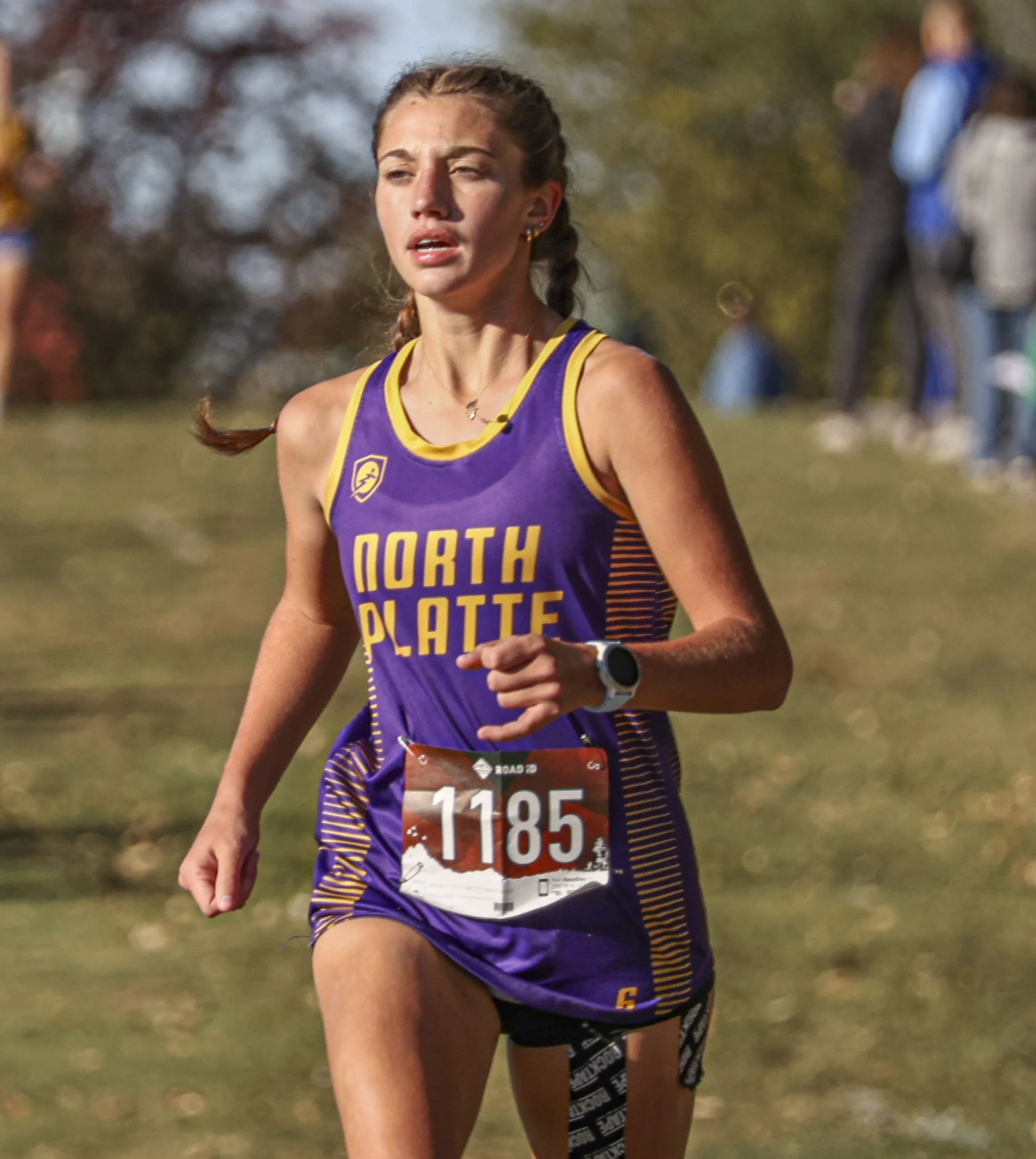 The Platte County Citizen