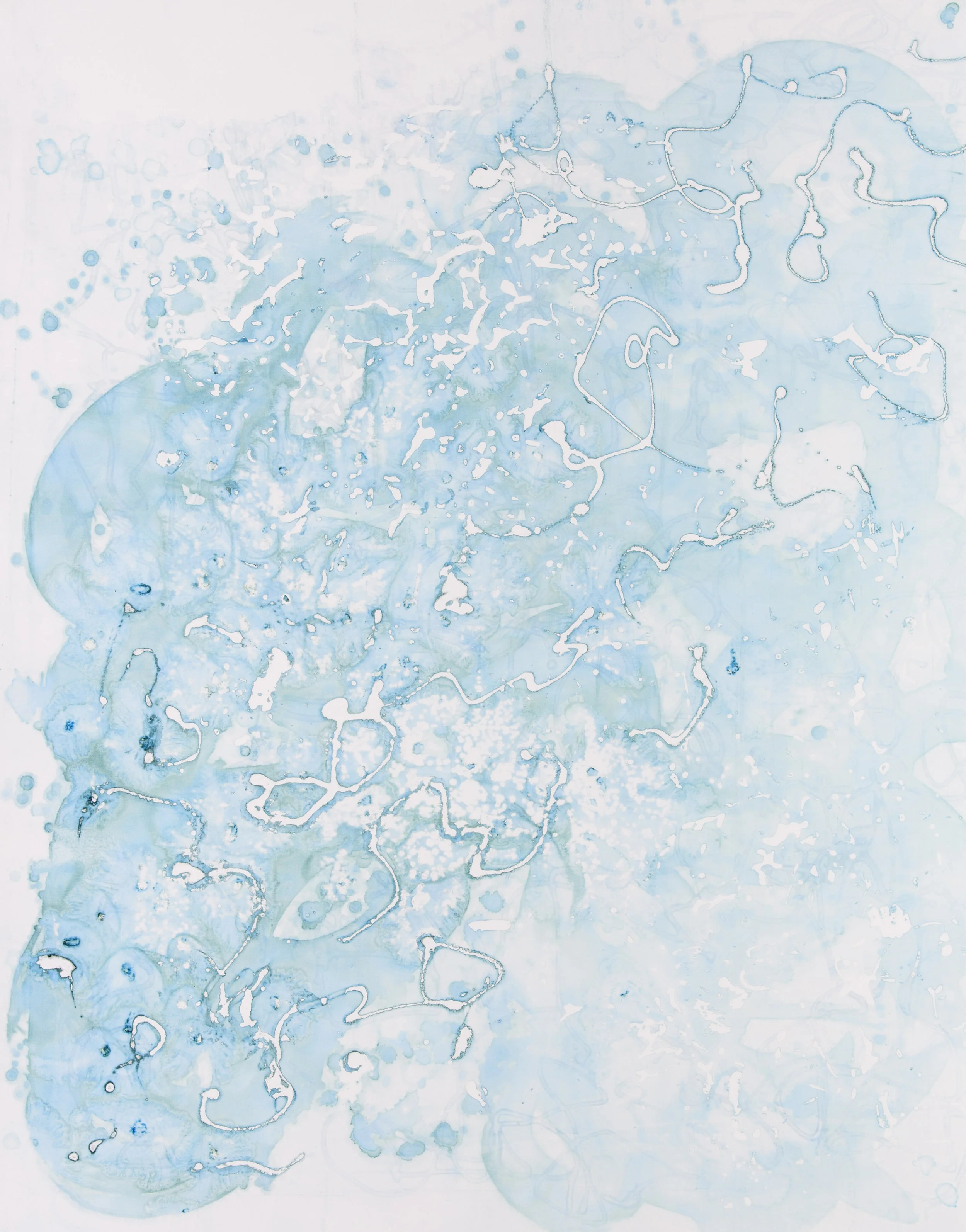 Works on Paper ⎯ Megan Adams Brooks — Megan Adams Brooks