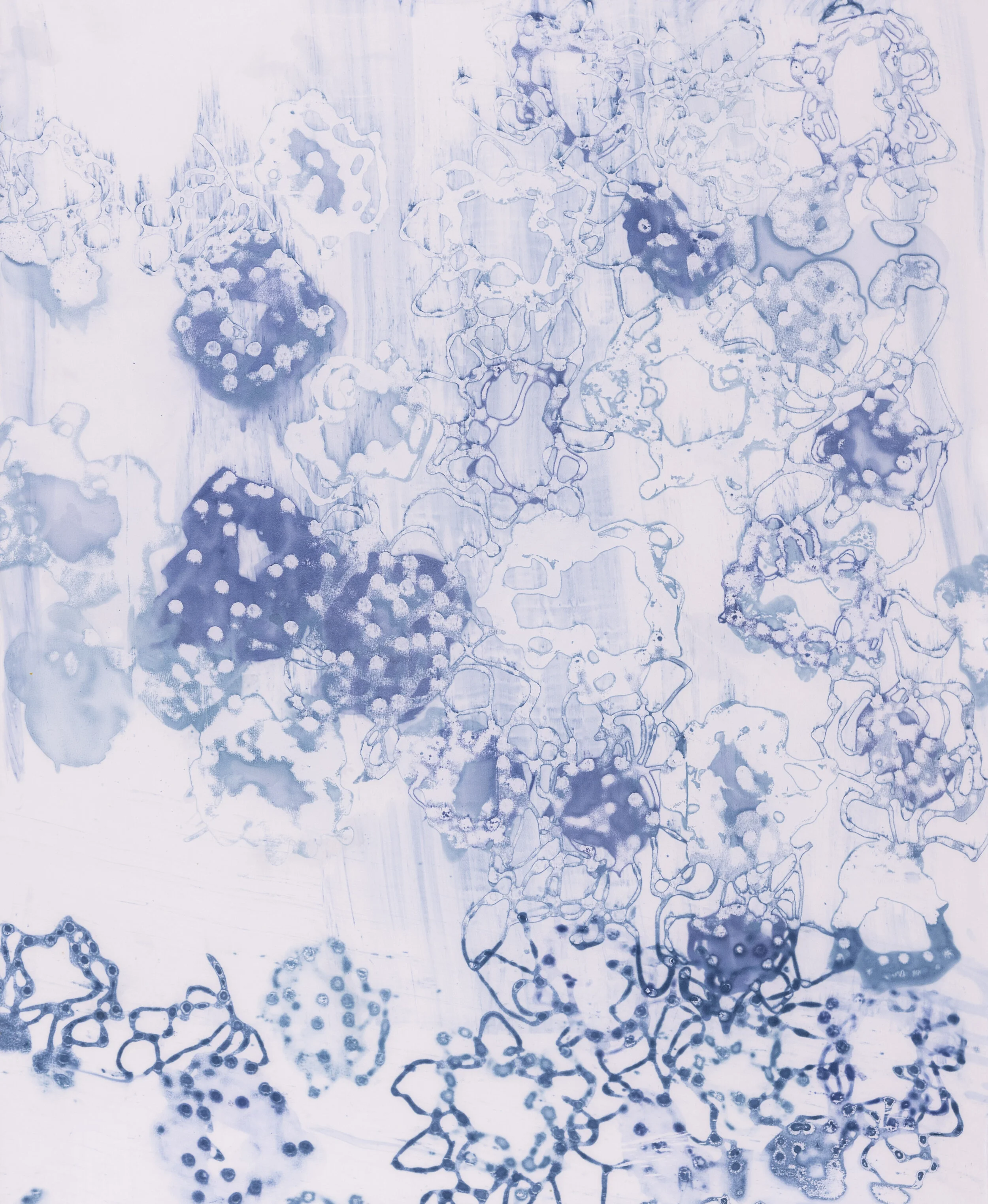 Paintings on Silk ⎯ Megan Adams Brooks — Megan Adams Brooks