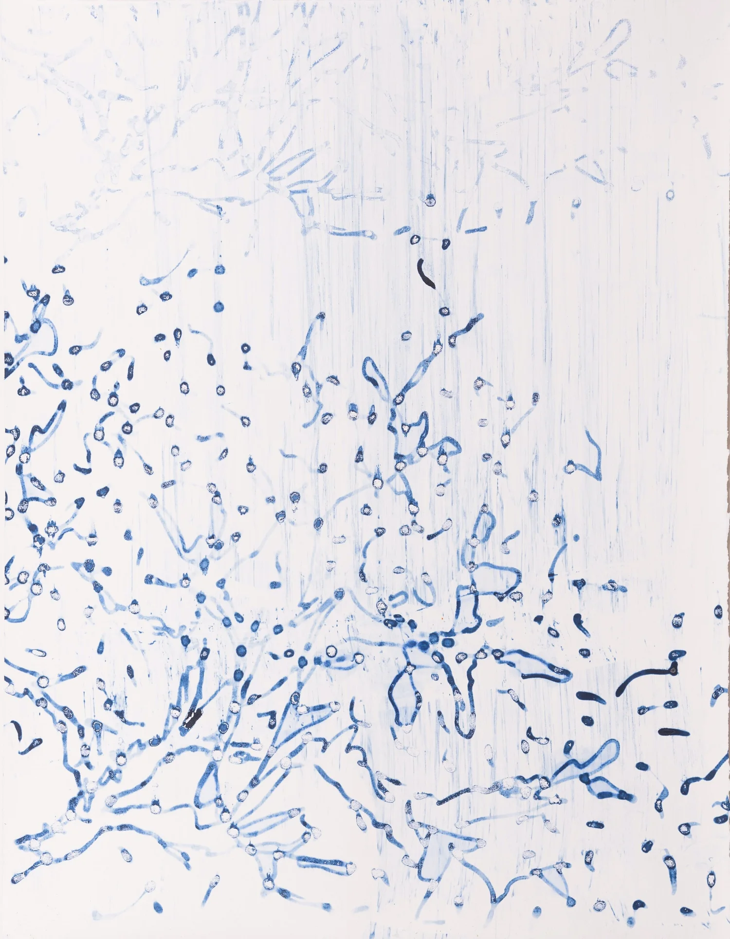 Works on Paper ⎯ Megan Adams Brooks — Megan Adams Brooks