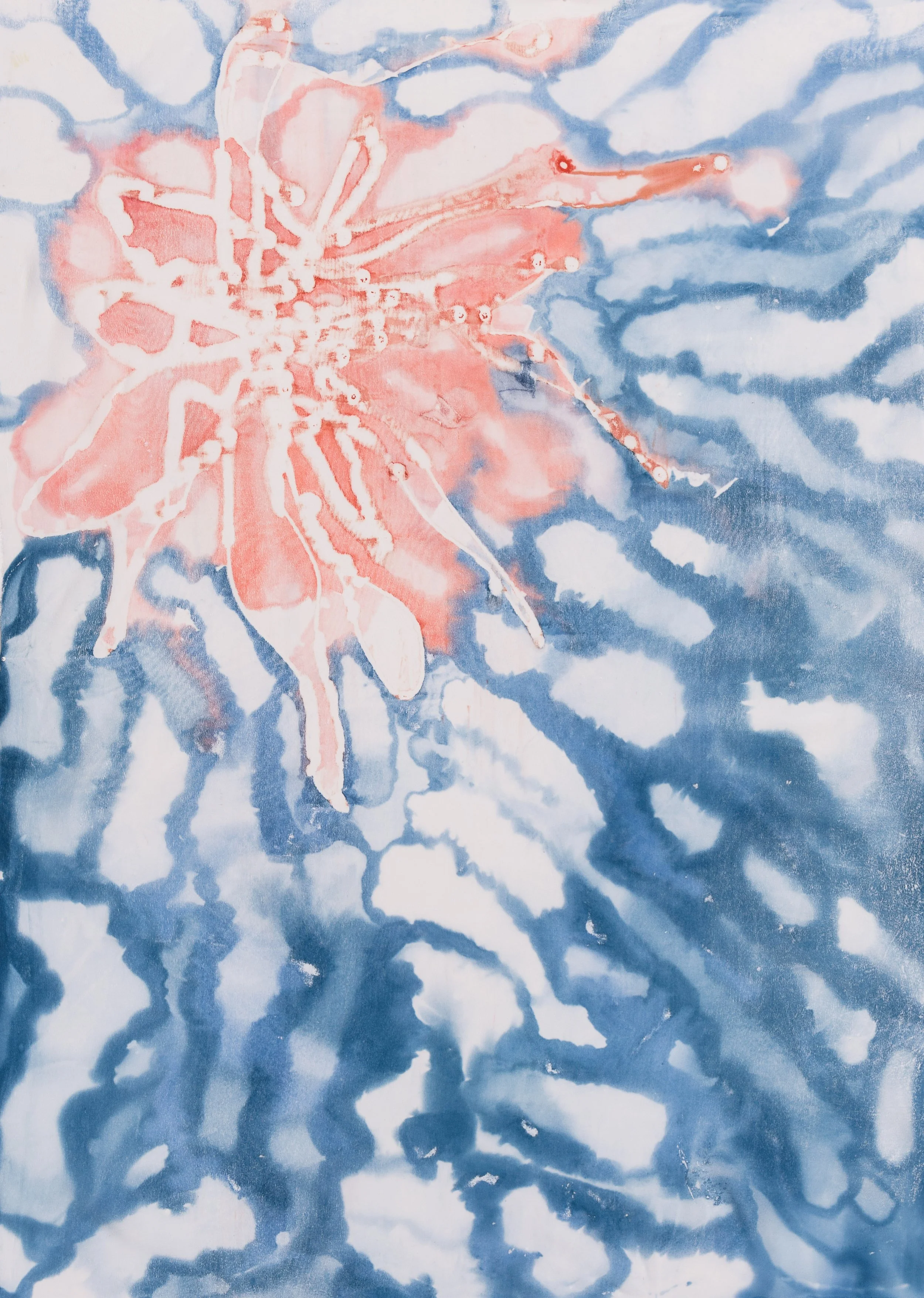 Paintings on Silk ⎯ Megan Adams Brooks — Megan Adams Brooks