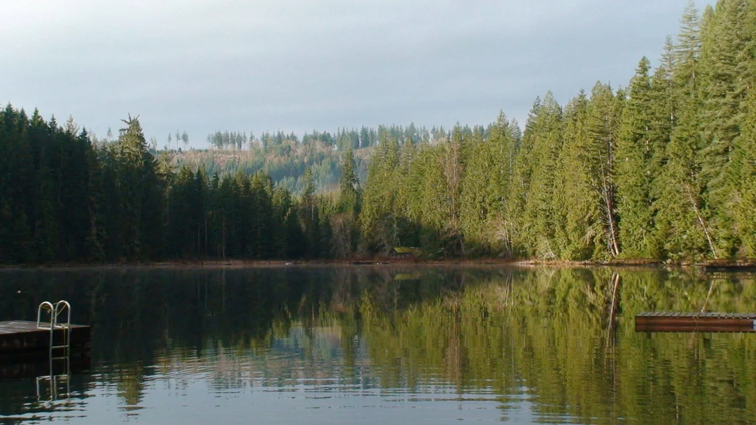 Trips and Forms — Post 84