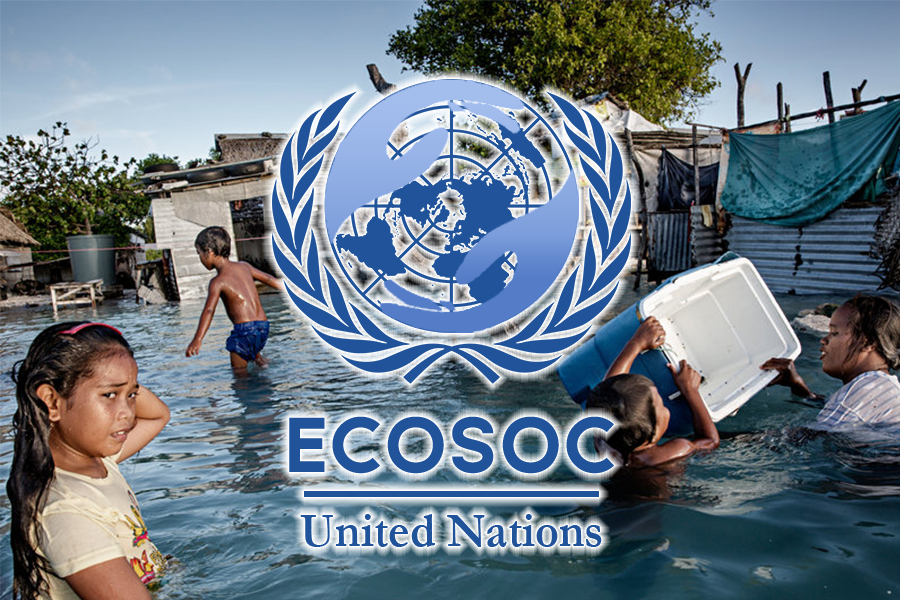 Specialized Committess — SOMA