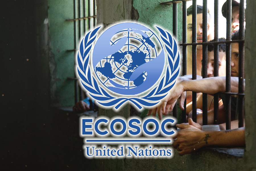 Specialized Committess — SOMA