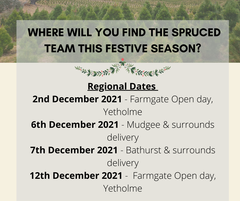 Spruced News — Spruced Christmas Trees