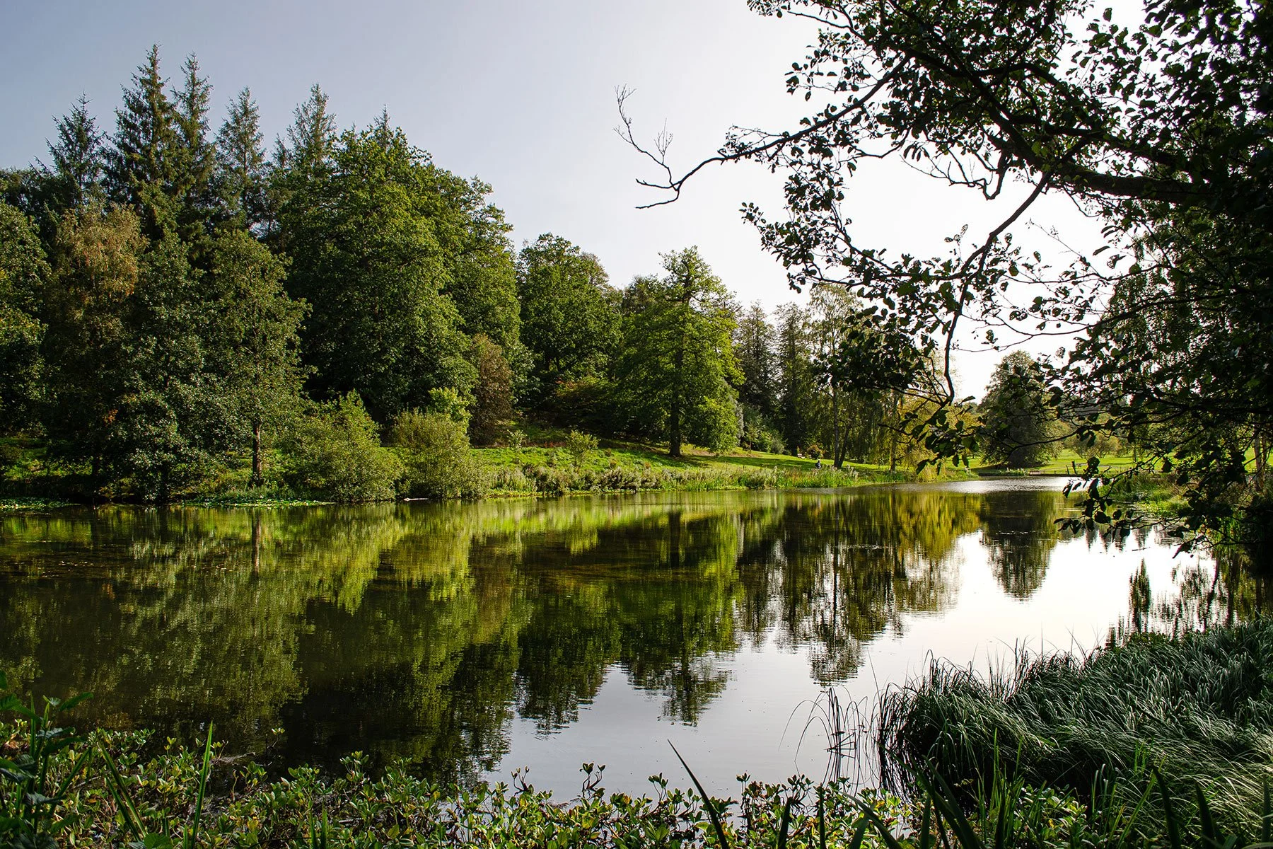 Yorkshire Arboretum
