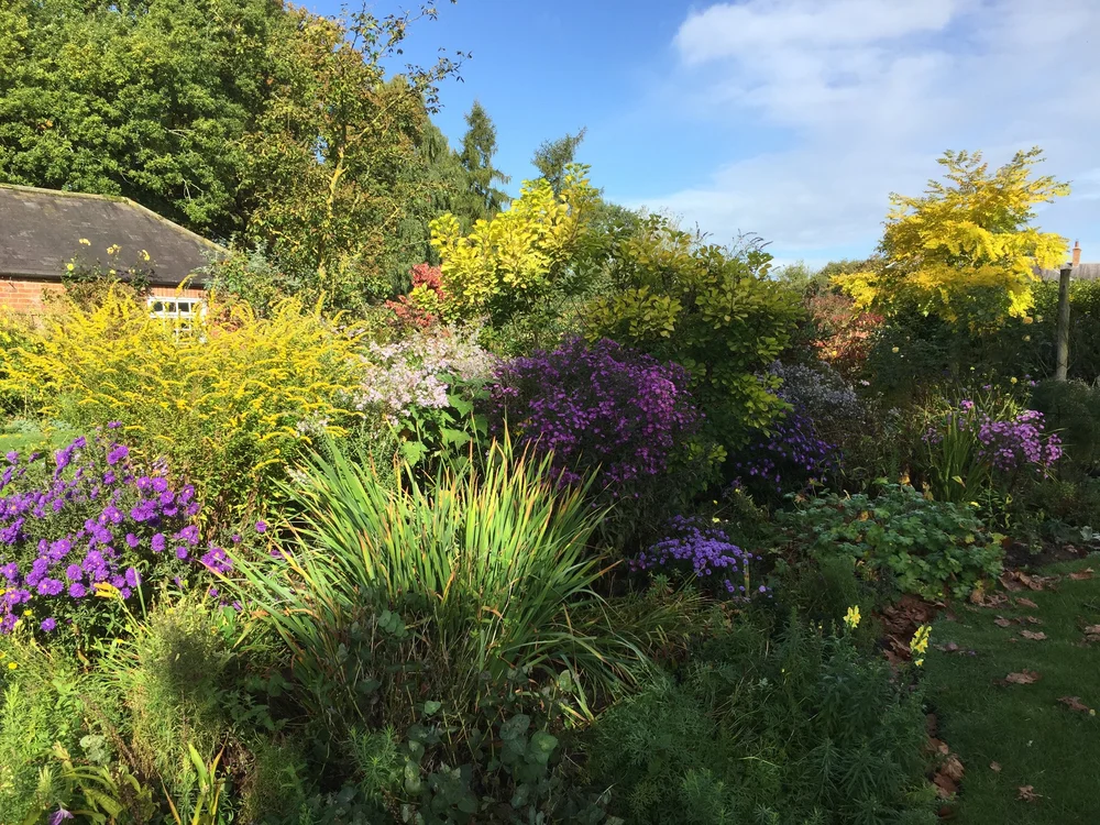 Open Gardens - Ellerker House, Everingham — Yorkshire Arboretum