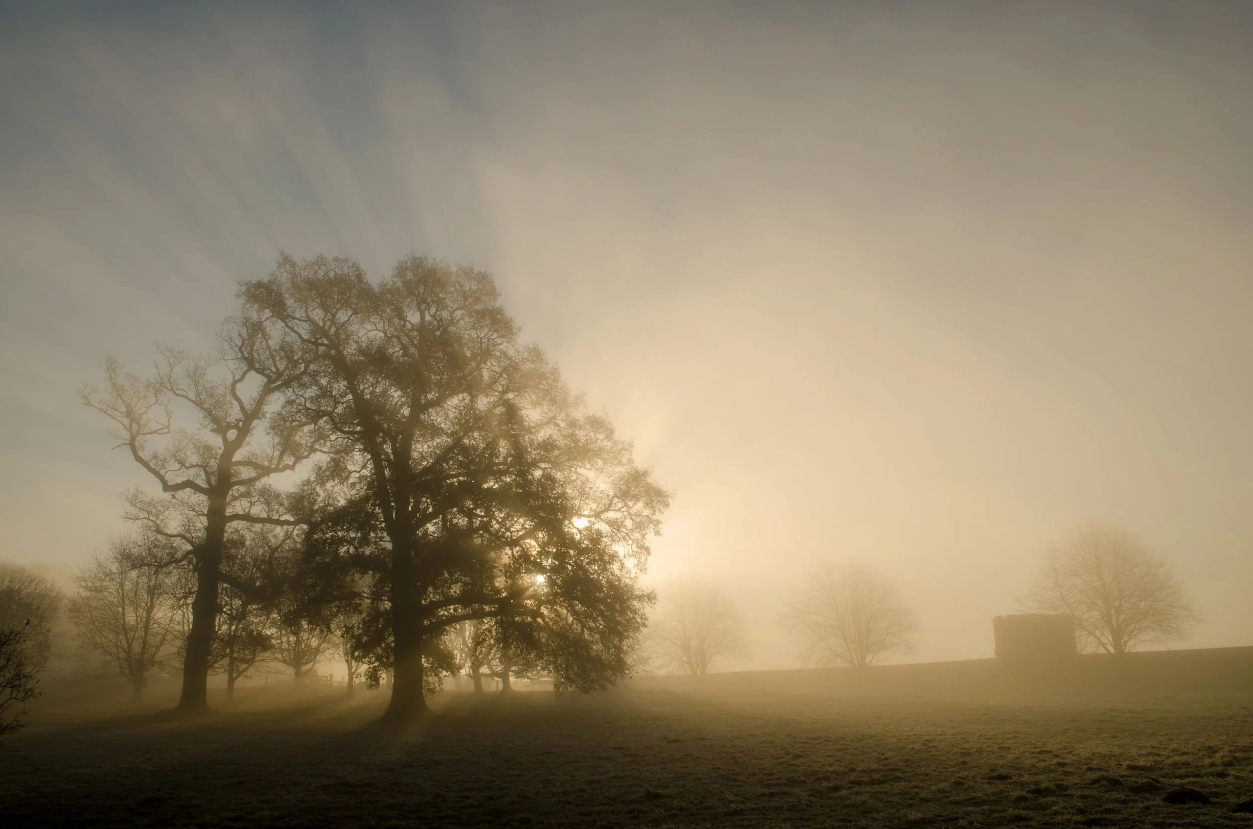 Yorkshire Arboretum