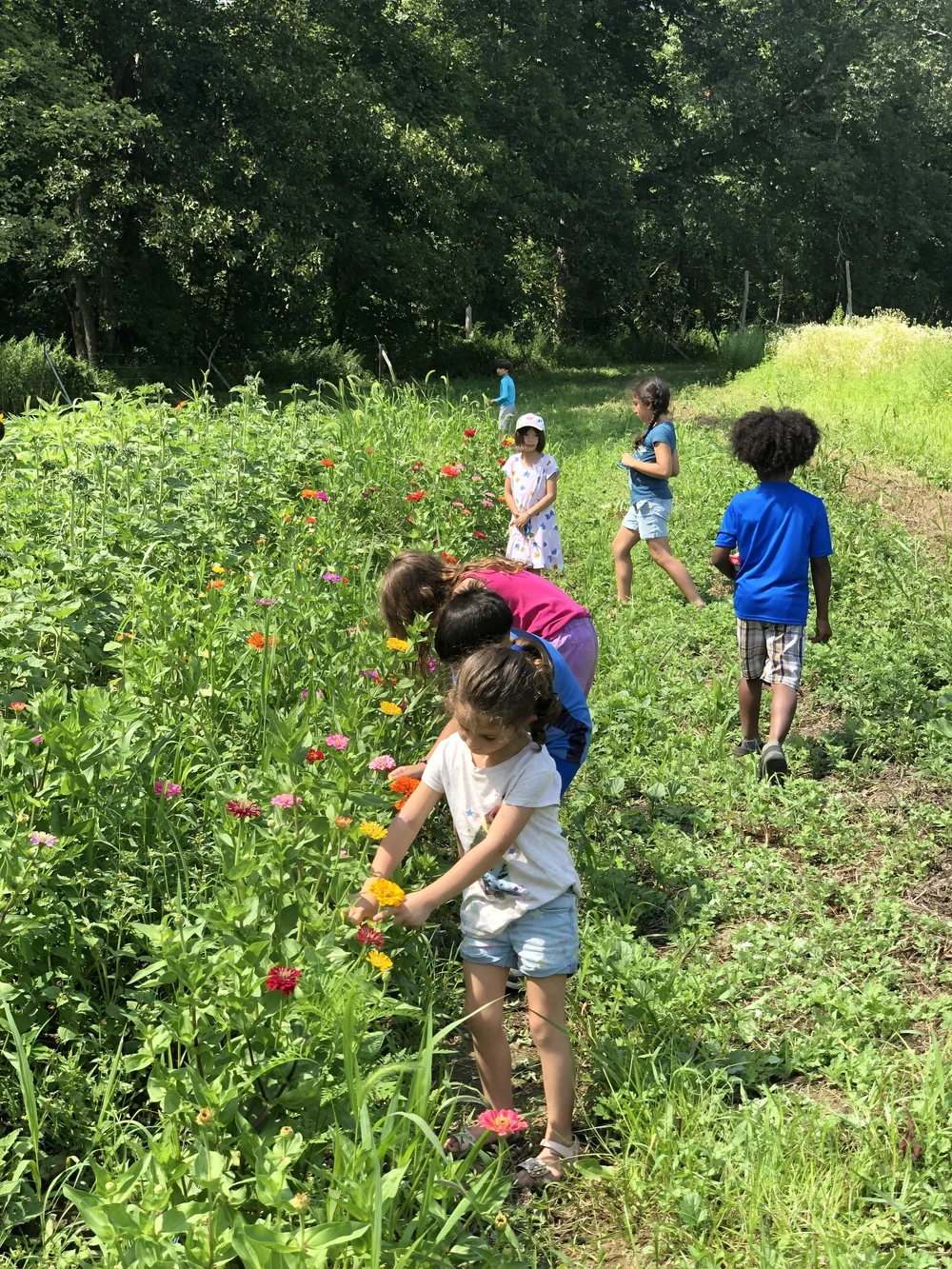 Residency Programs — SPACE on Ryder Farm