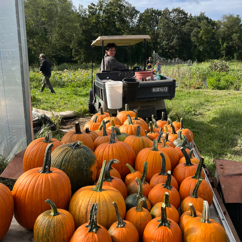 About the Farm — SPACE on Ryder Farm