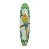 Petey 11′4″ – 200 L Traditional Epoxy SUP Board — Pulse SUP