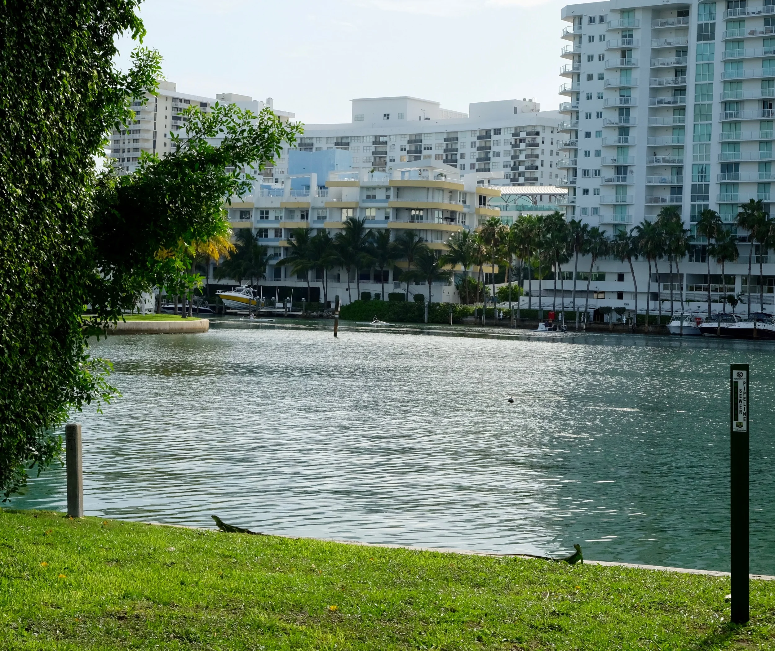 Miami Sea Level Rise — Impact Human