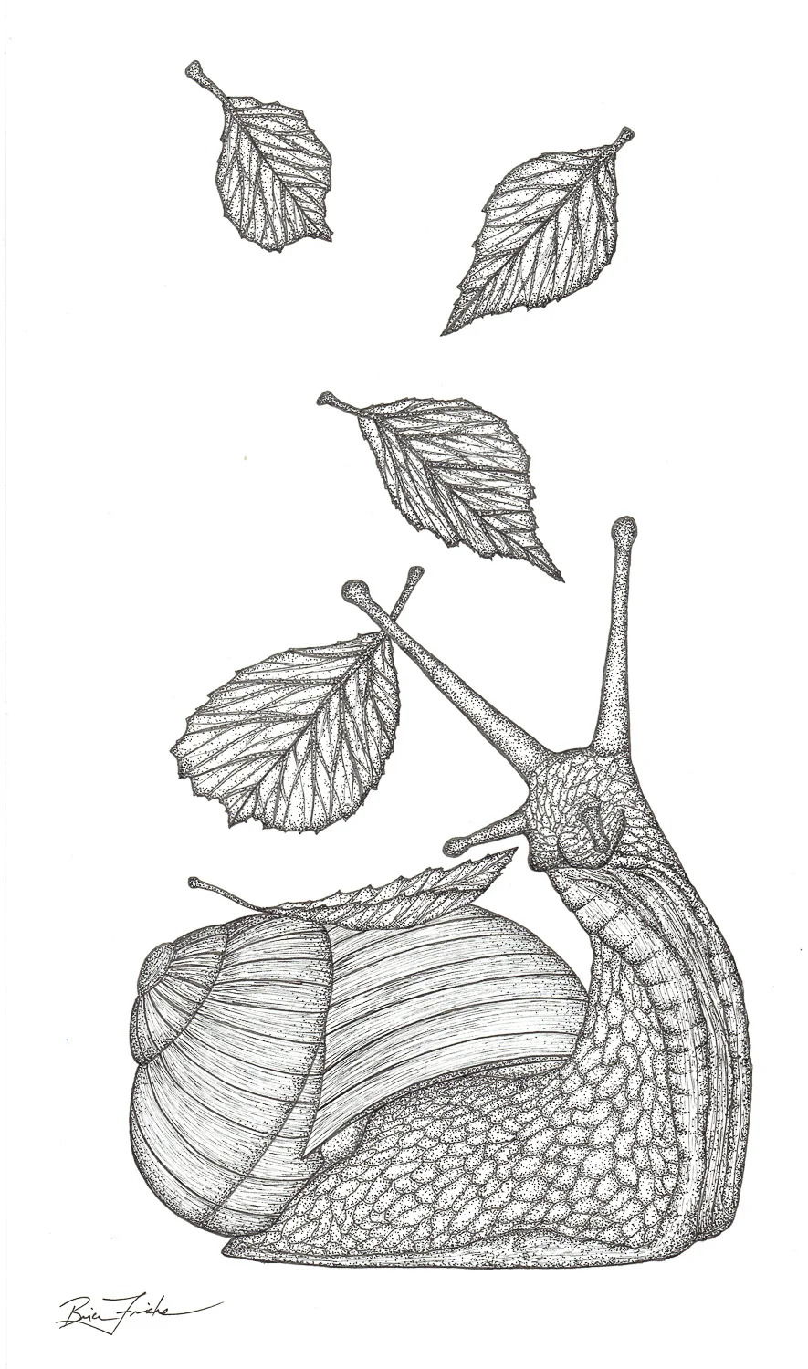 drawings — Brian Frerichs Art
