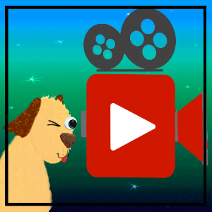 Story Spectacular Videos — Story Spectacular