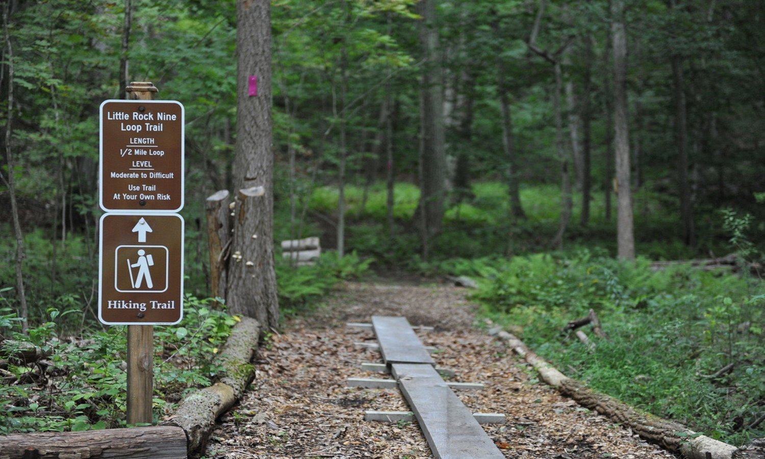 Freedom Trail Dedication at Constance Baker Motley Preserve — Chester ...