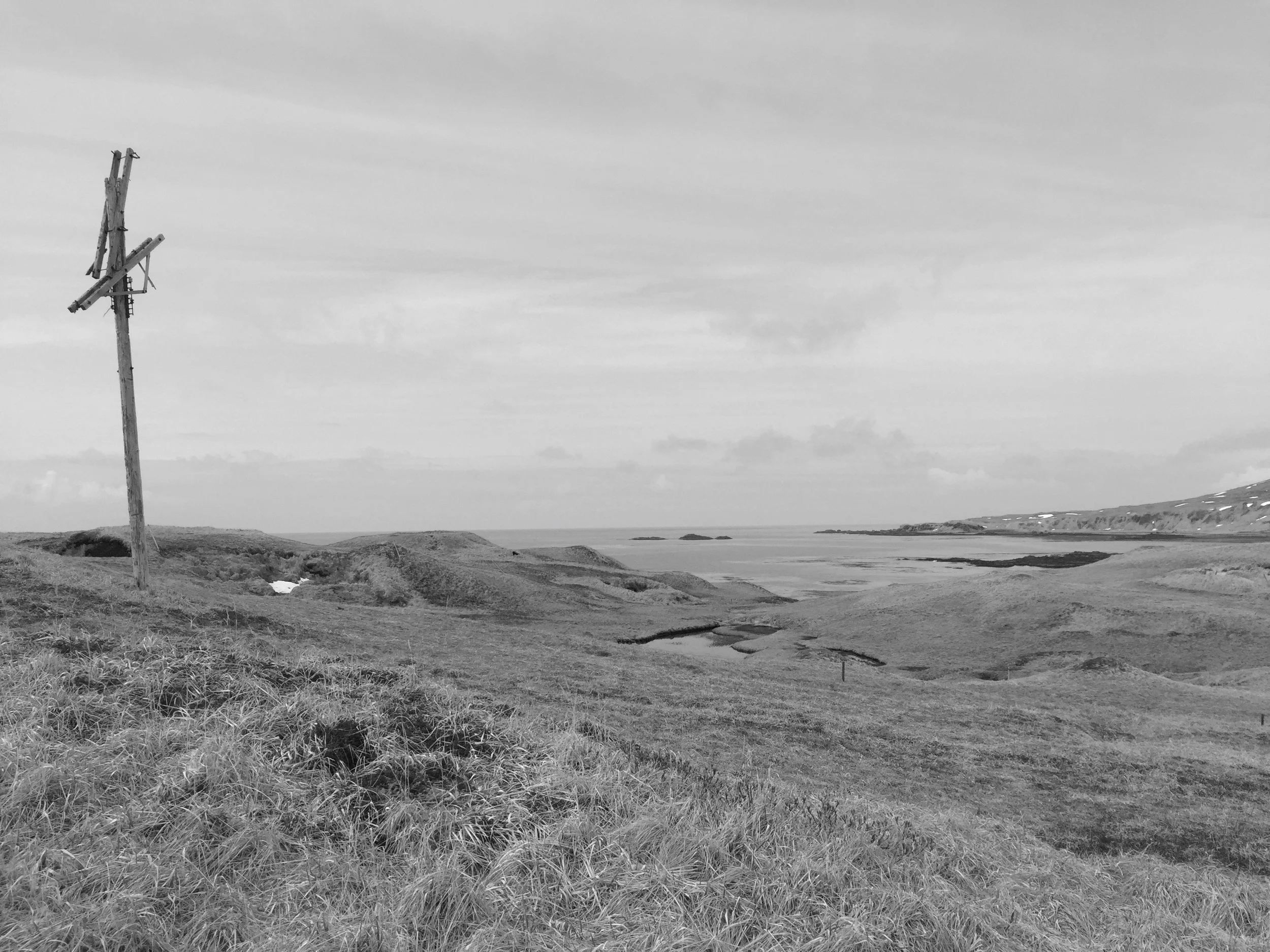 Attu in Black and White — The Birding Project