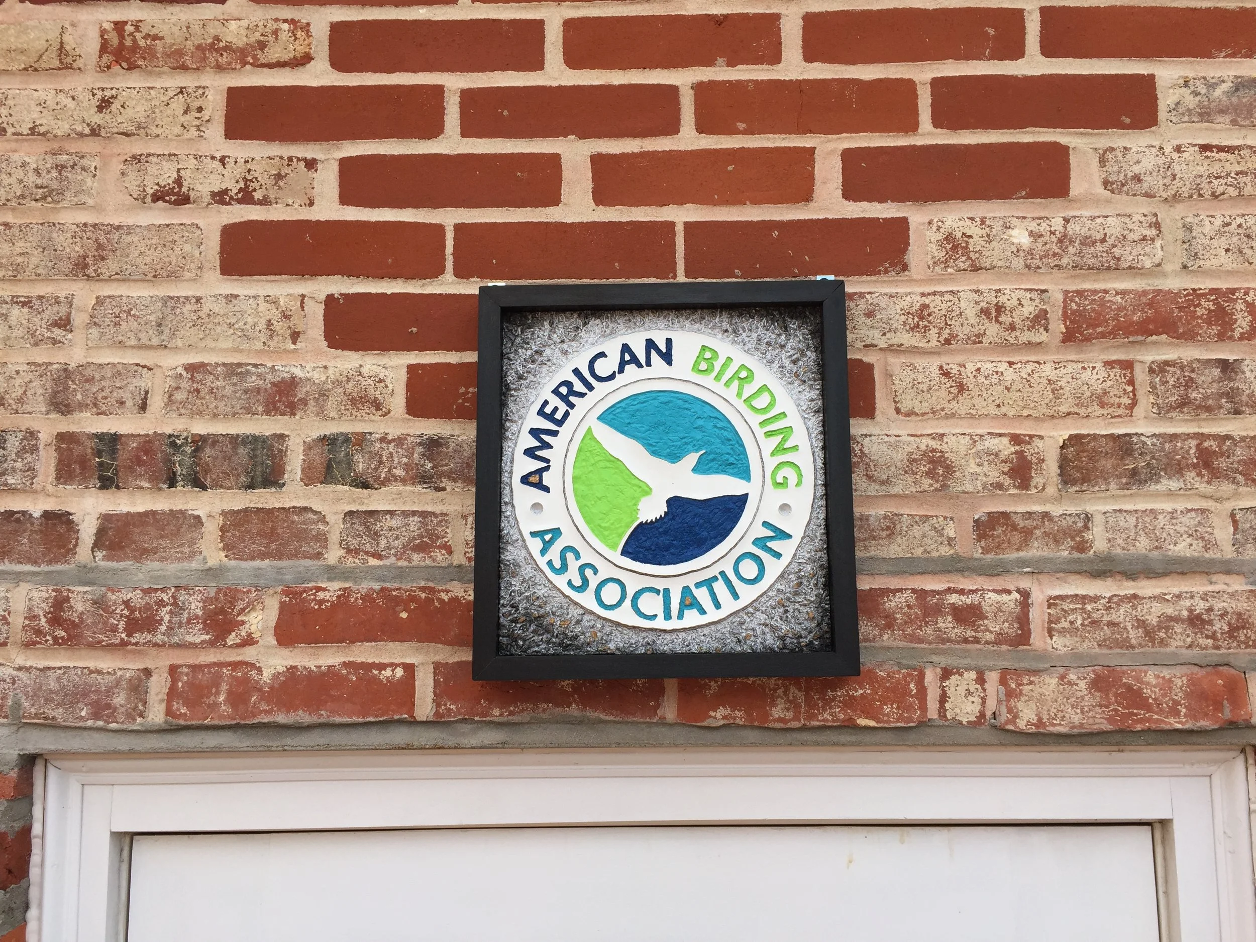 December 13-18 — The Birding Project