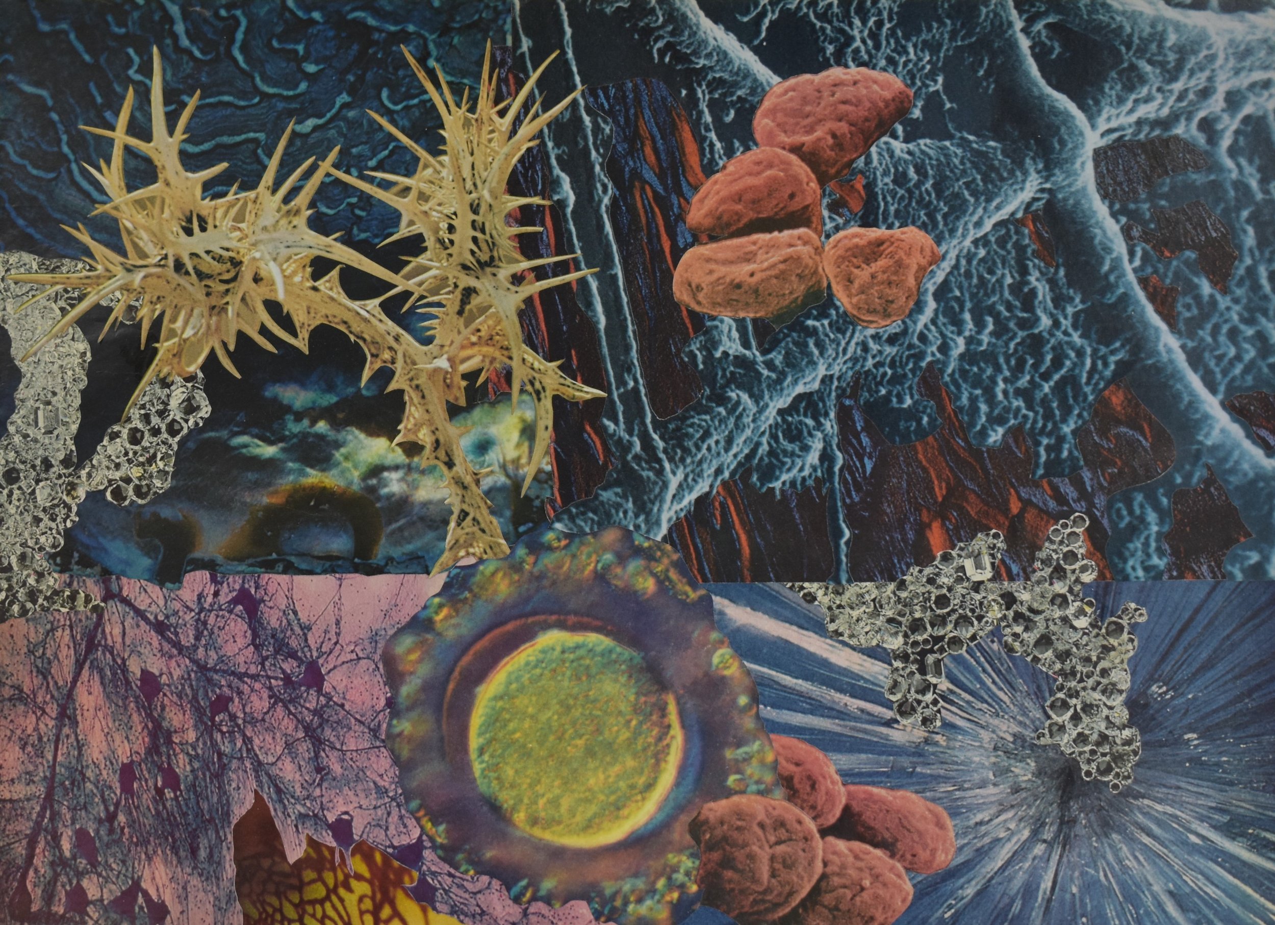 Artists — Sly Cat Gallery