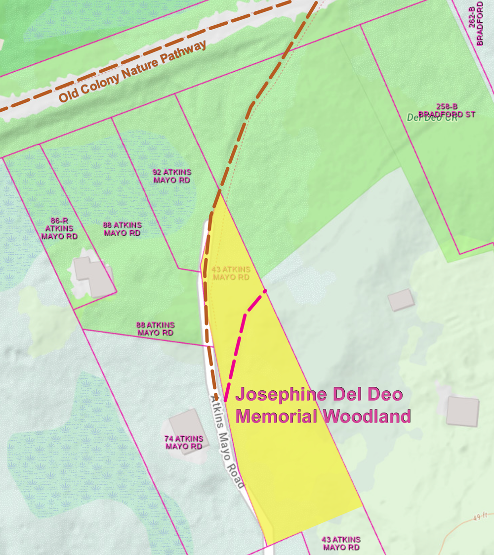 Josephine Del Deo Memorial Woodland Campaign — Provincetown ...