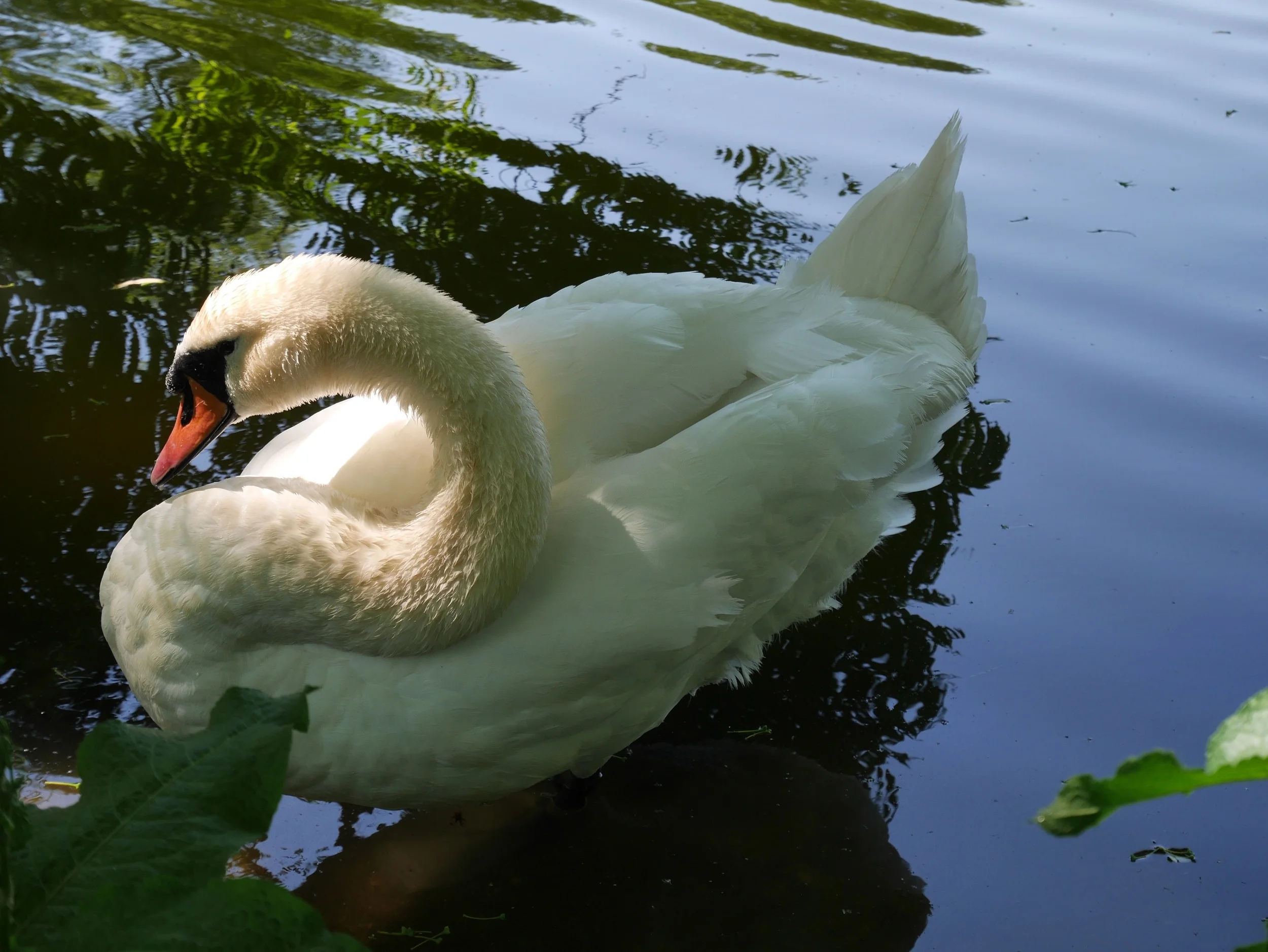 3 Days in Copenhagen in June — Her Travel Style