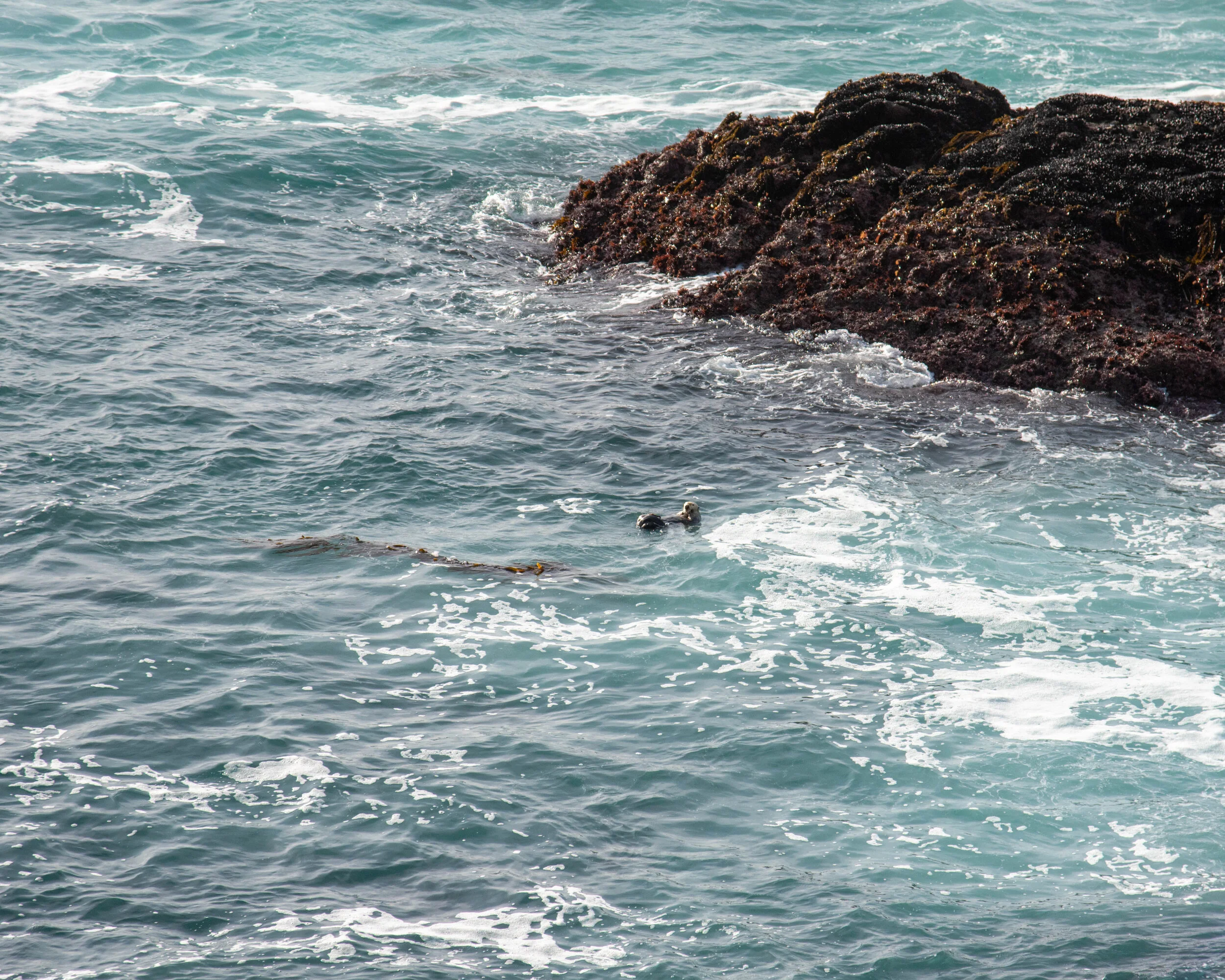 A Solo Traveler's Guide to Carmel, California — Her Travel Style