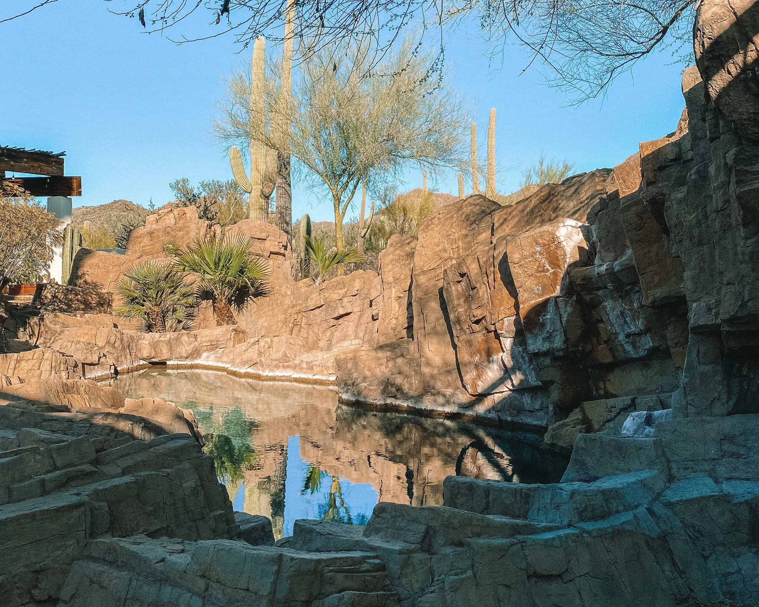 10 Reasons to Book a Stay at Posada by the Joshua Tree House in Tucson ...