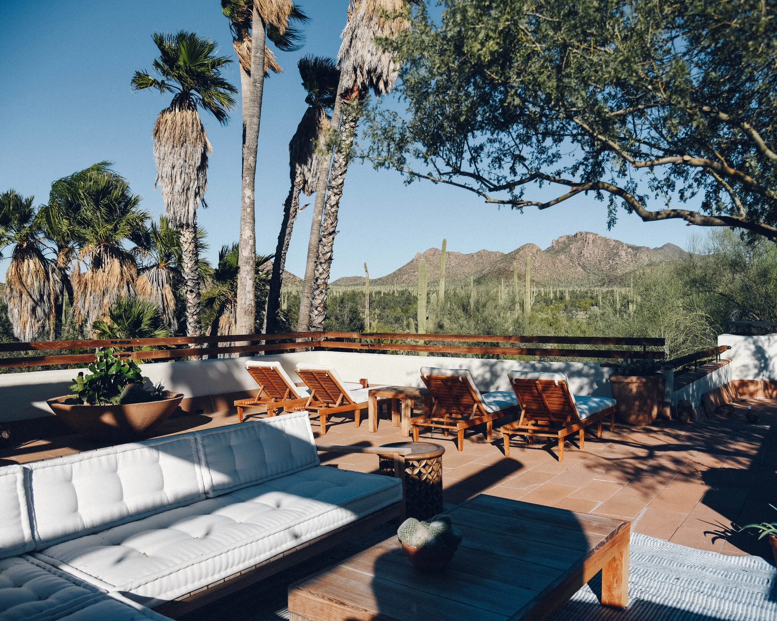 10 Reasons to Book a Stay at Posada by the Joshua Tree House in Tucson ...