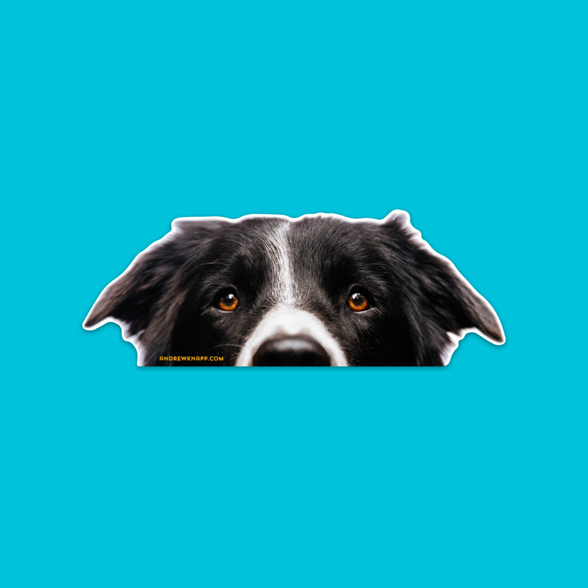 Stickers — Andrew Knapp