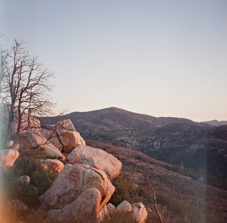 The concept of failing upward — Casey Brodley | Detroit, Michigan ...