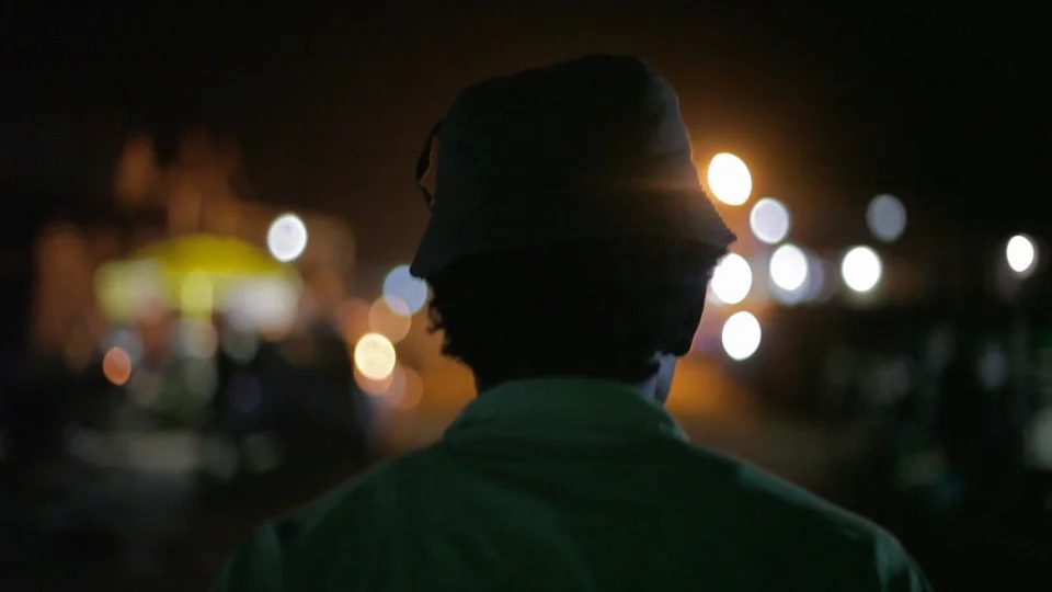 Chameleon — Dogwoof Releasing