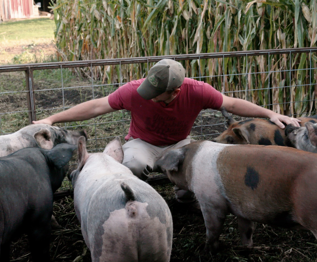 Dogwoof Documentaries