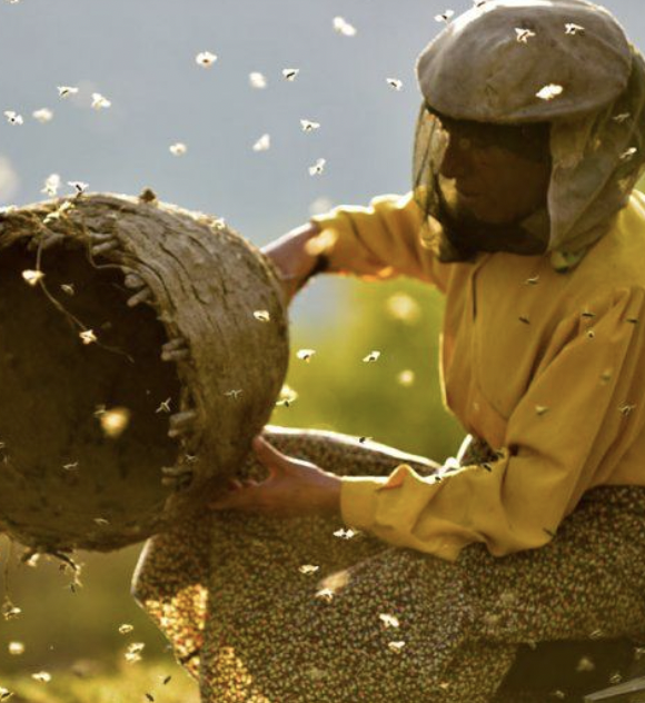 Dogwoof Documentaries