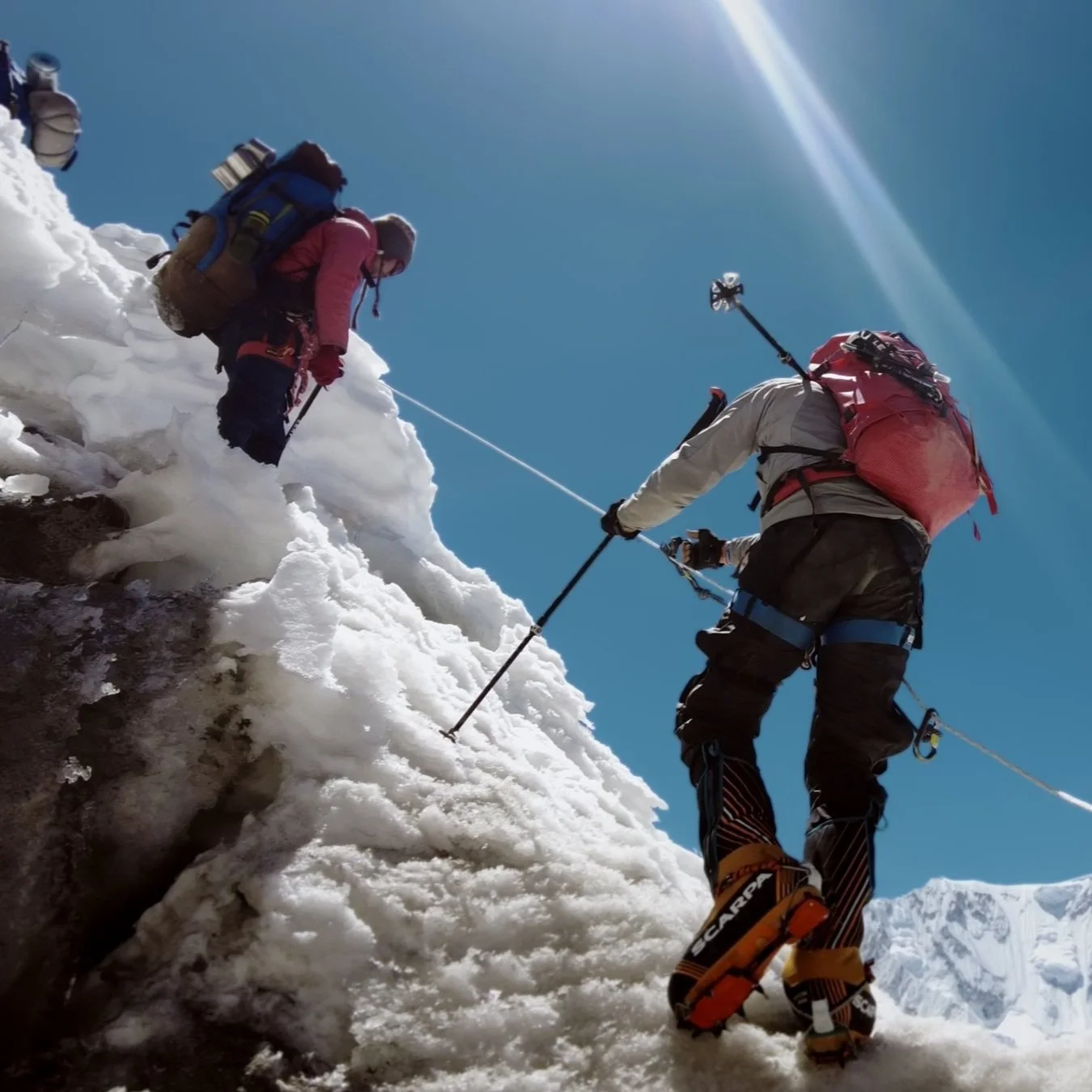 Dogwoof Documentaries