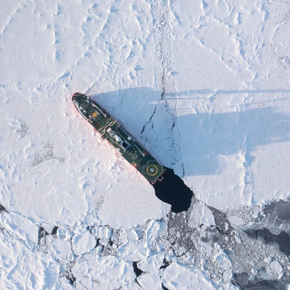 Dogwoof Documentaries