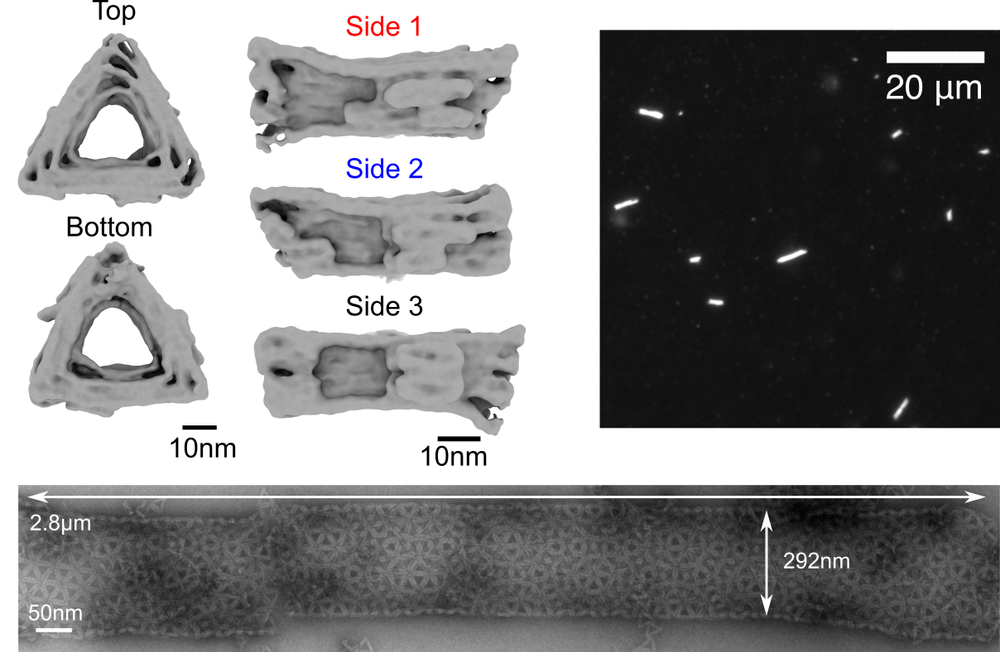 DNA Origami — Rogers Lab