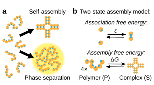 Publications — Rogers Lab