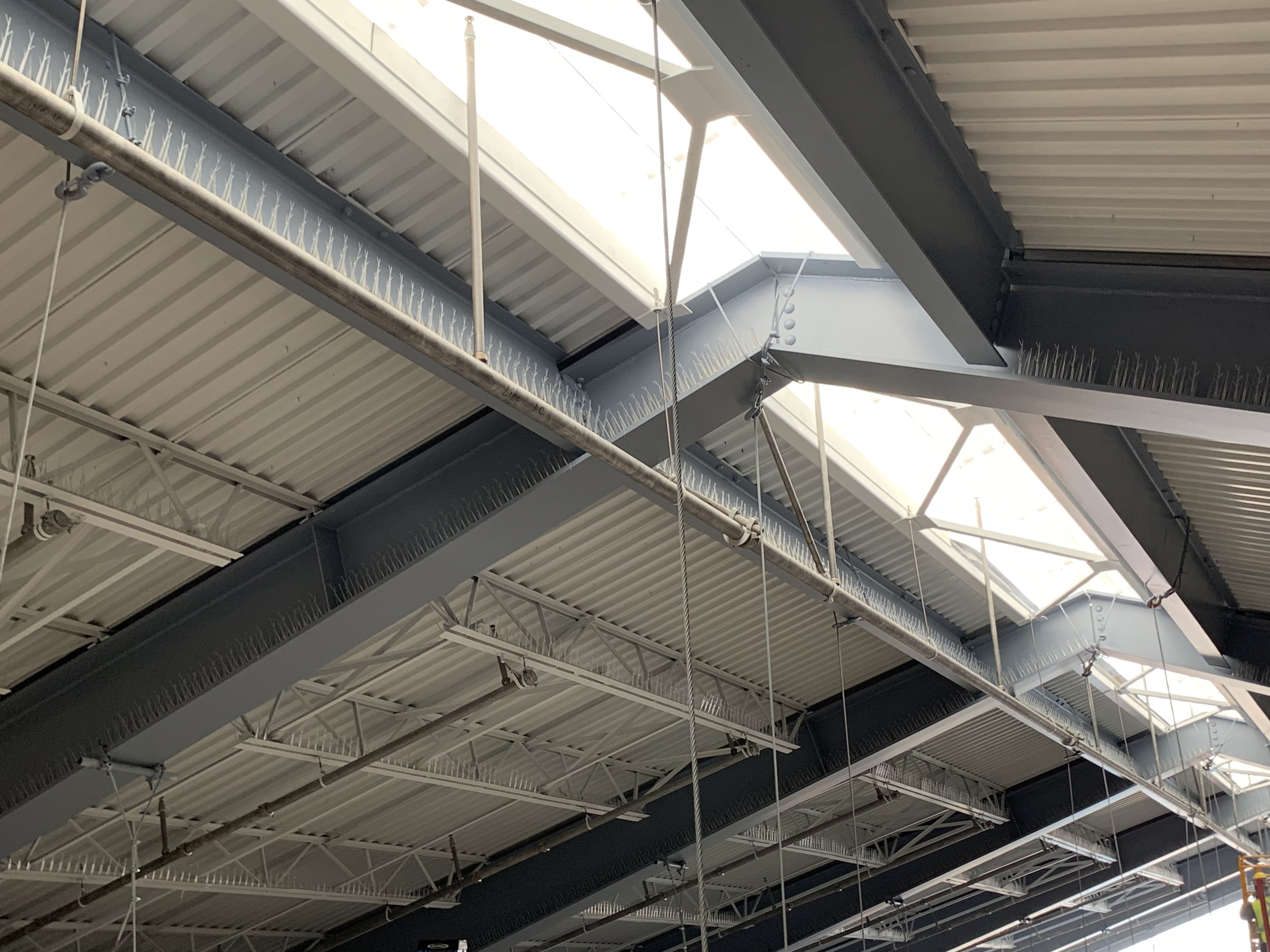 Sprinkler Fitters U.A. Local 709