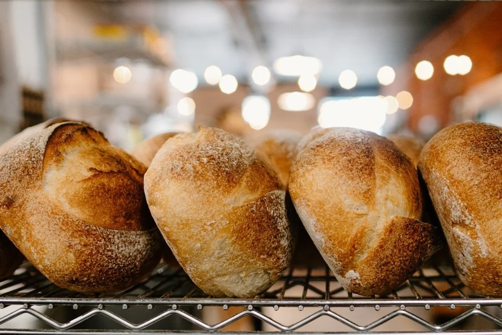 Homestead Authentic Sourdough
