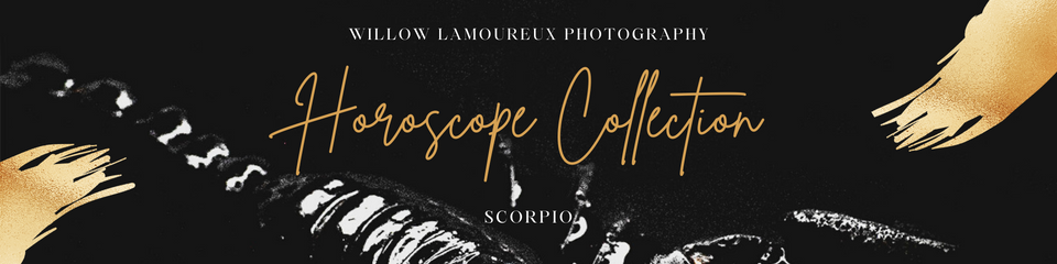 HOROSCOPE COLLECTION | SCORPIO (You CHOOSE the Exhibition Showpiece ...