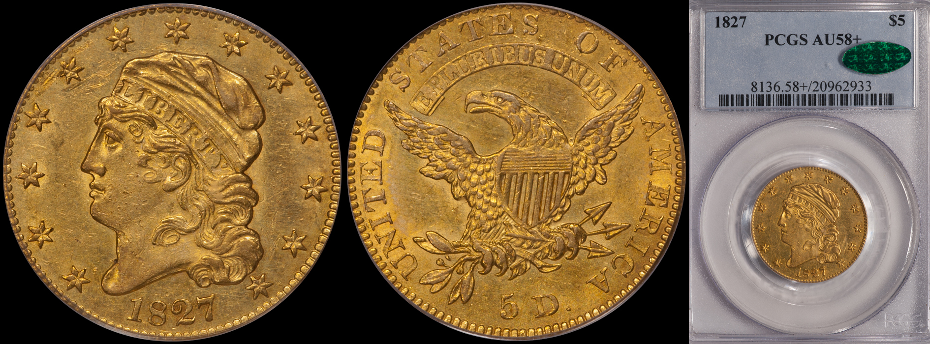Rare Gold Coin Inventory — Douglas Winter Numismatics